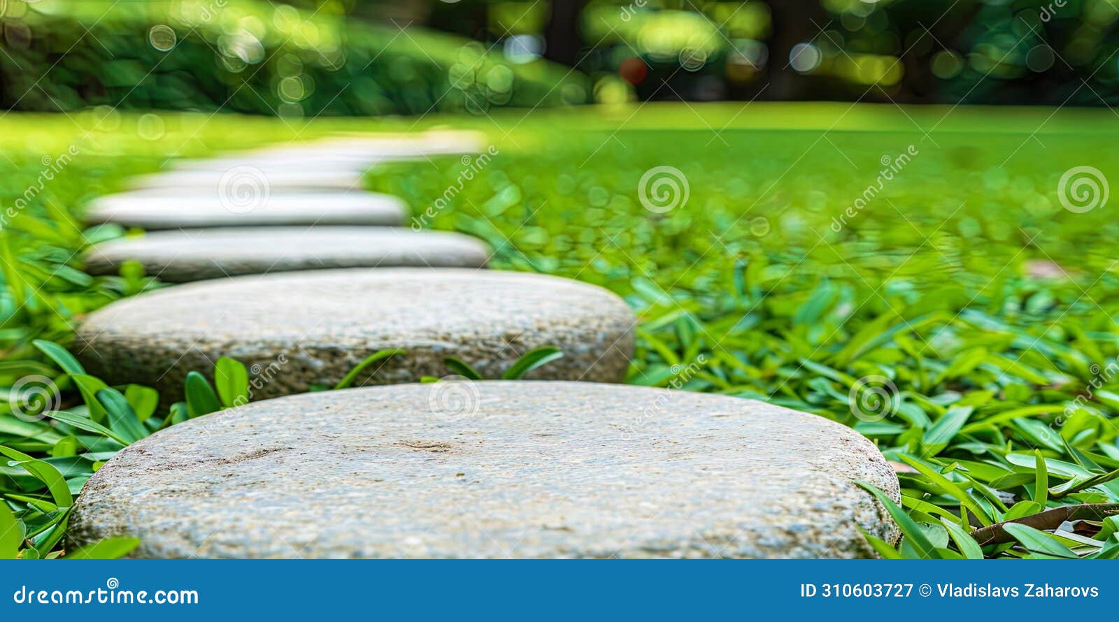Guessing Stones Built in a Circle on the Ground, with a Reflection of ...