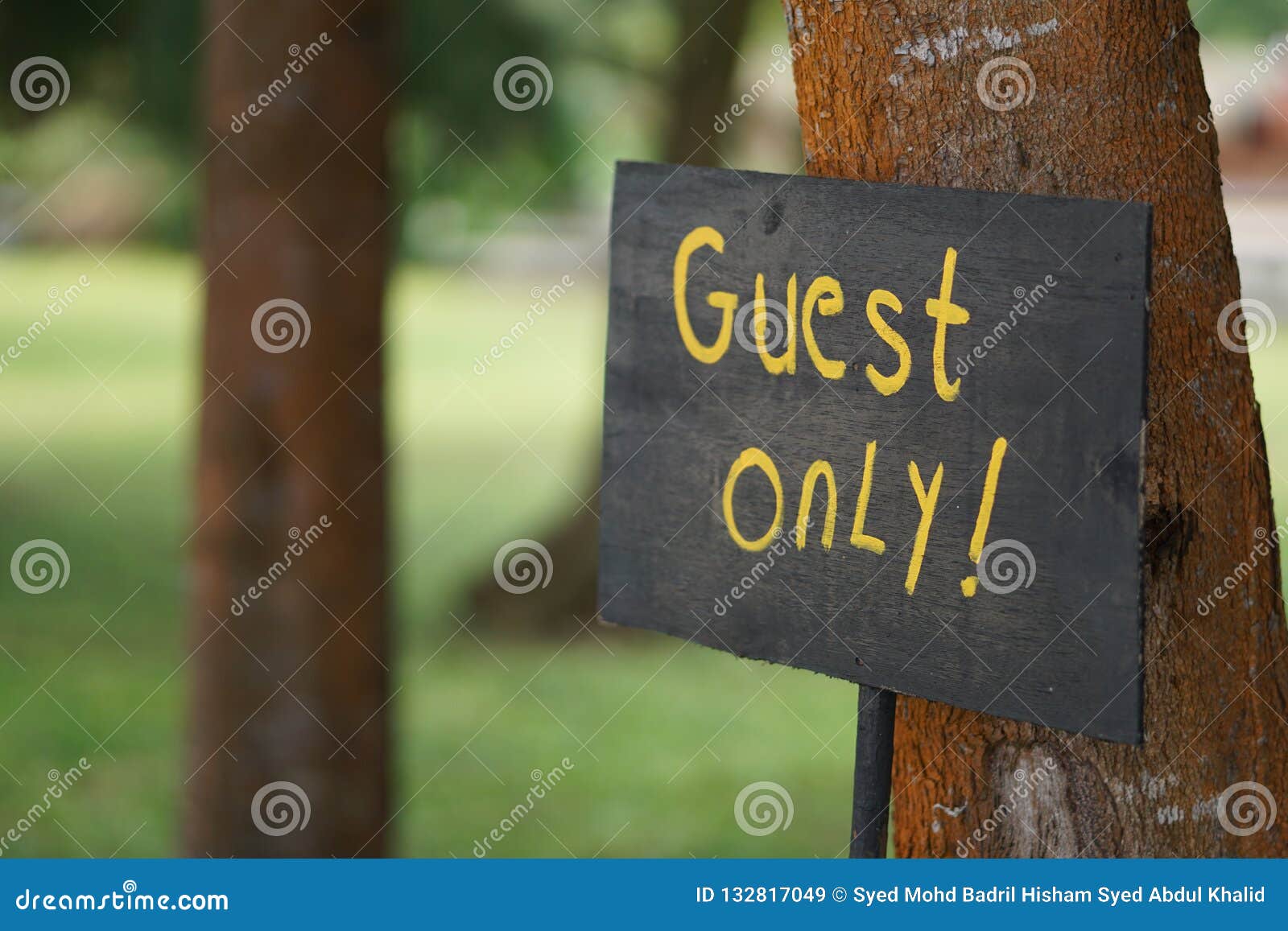 Guest only sign stock image. Image of gold, guest, tree - 132817049