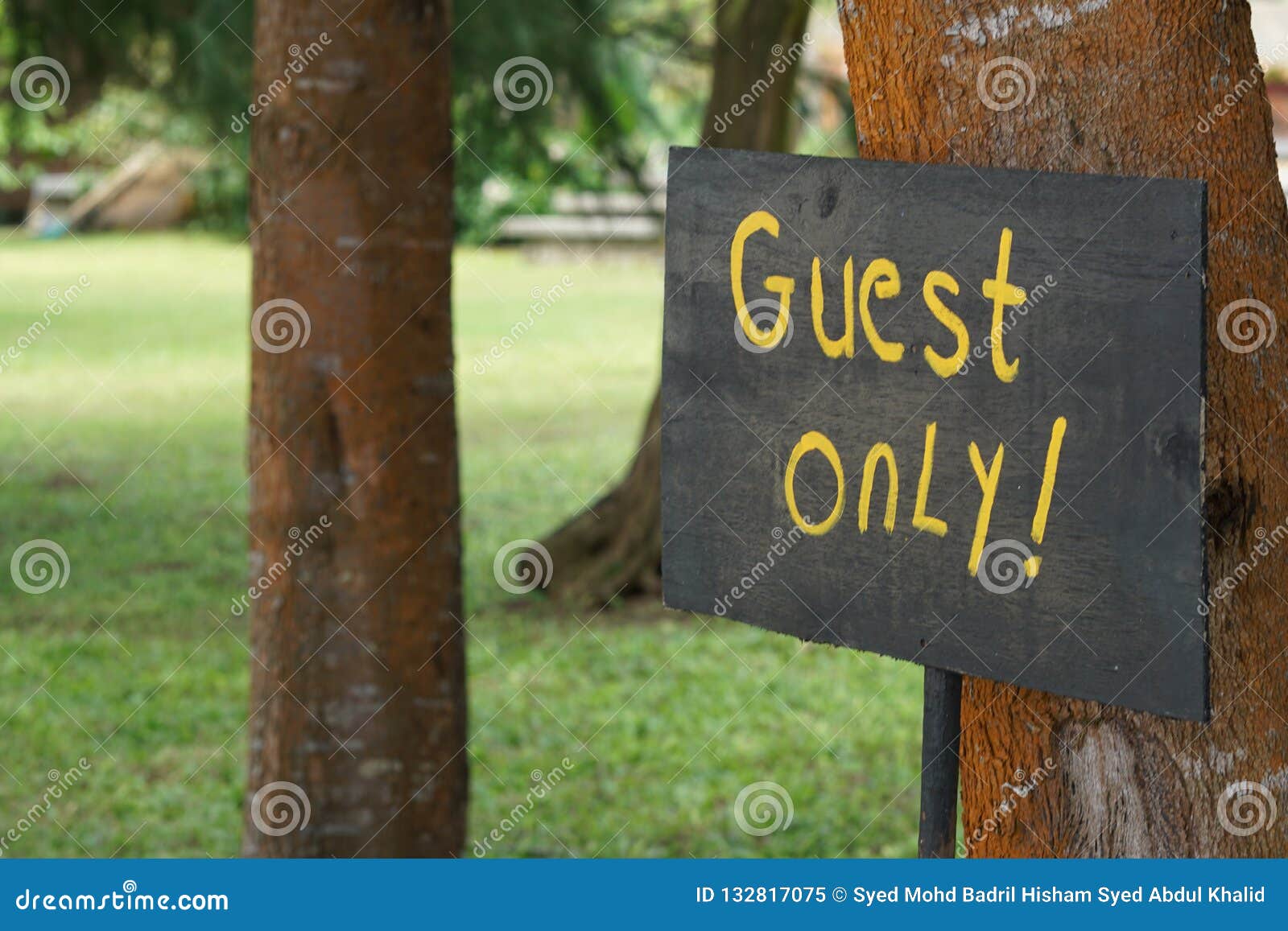 Guest only sign stock image. Image of board, black, tree - 132817075