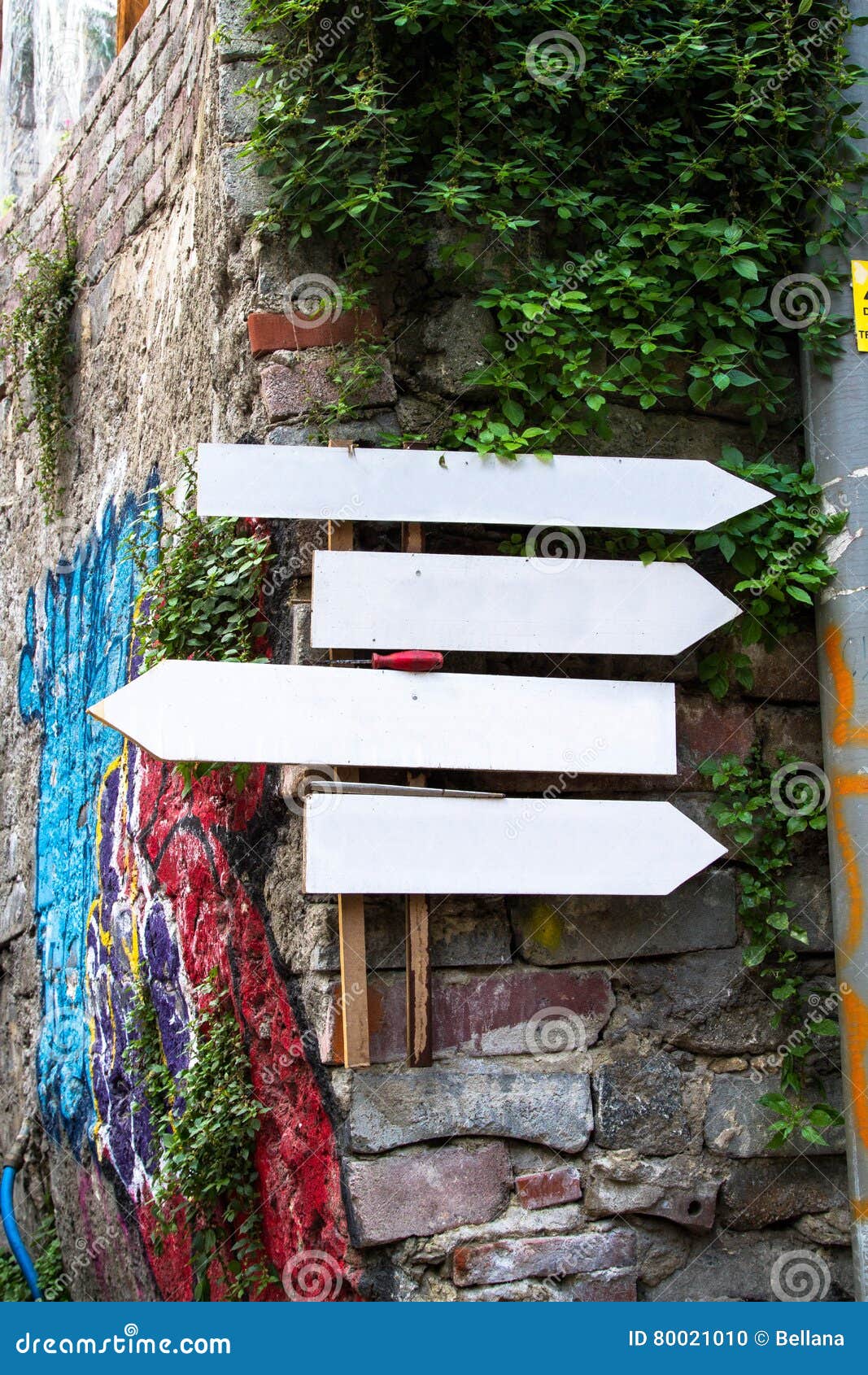 Guide Directions Indicator Signs In The Middle Of A Forest In A Hill In ...