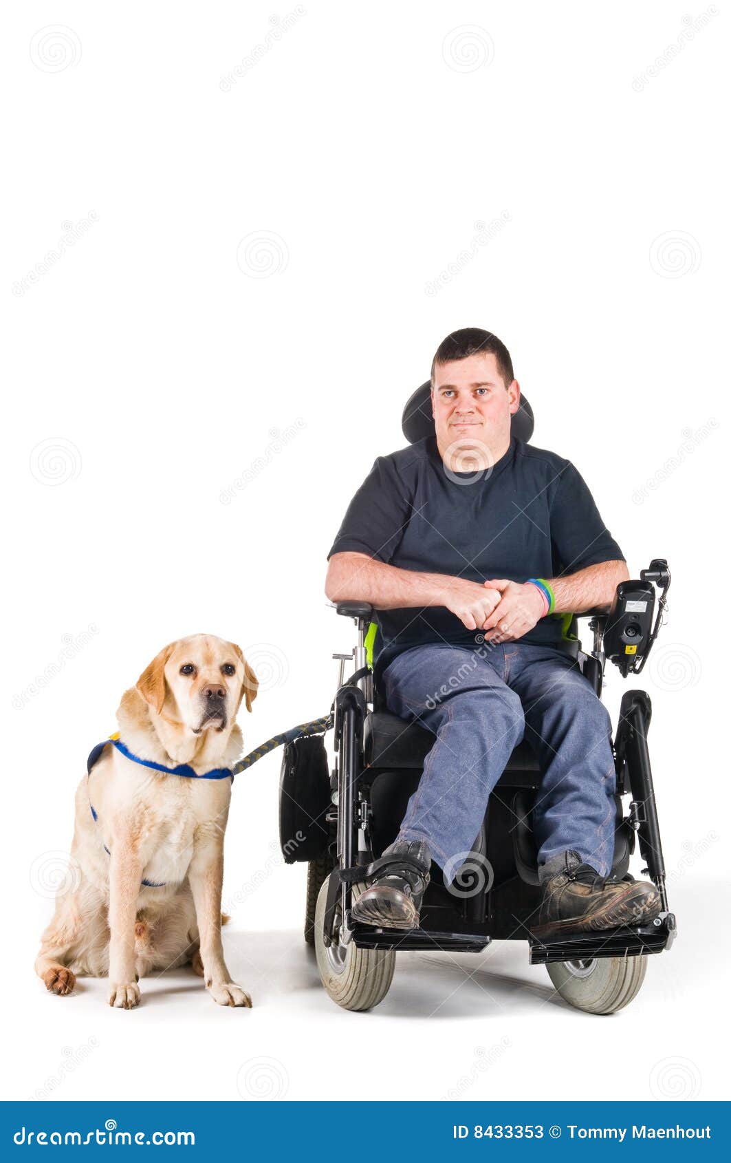 Guide dog stock image. Image of disabled, adult, caucasian - 8433353