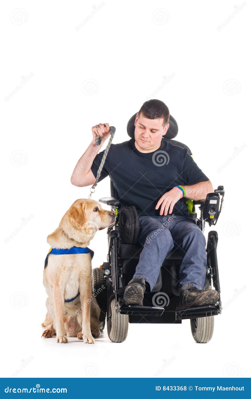 Guide Dog stock photo. Image of mature, chair, disabled - 8433368