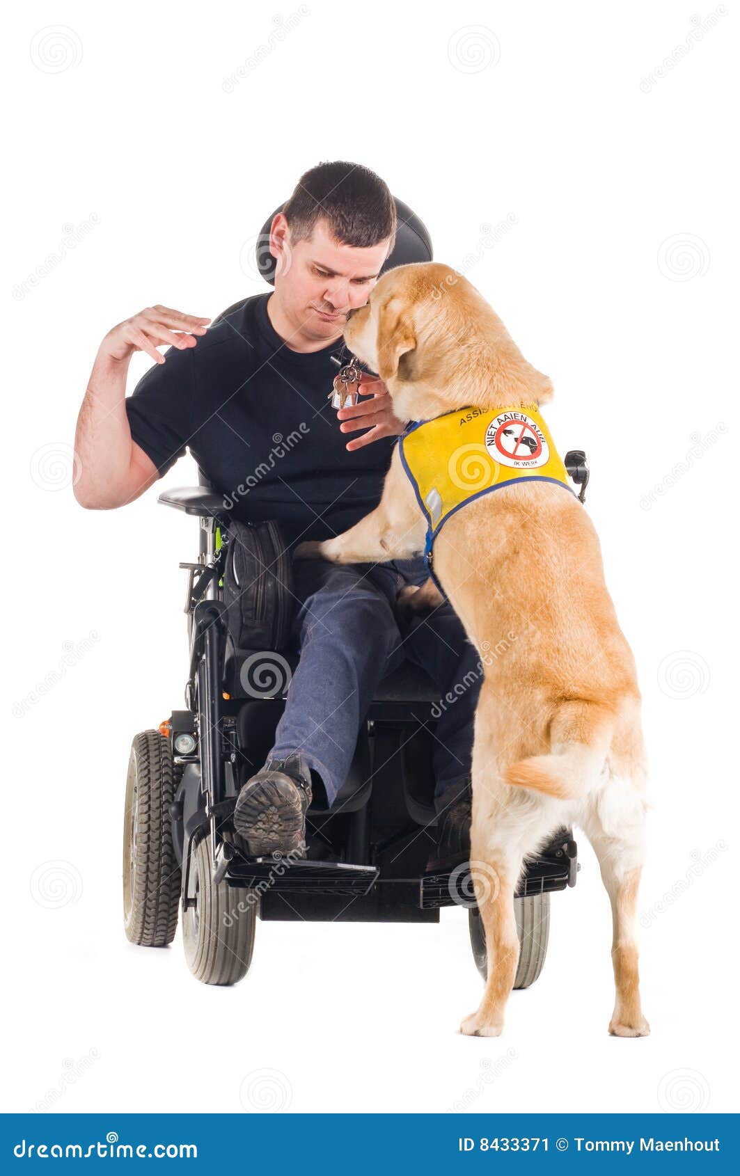 Guide Dog stock image. Image of friend, invalid, chair - 8433371