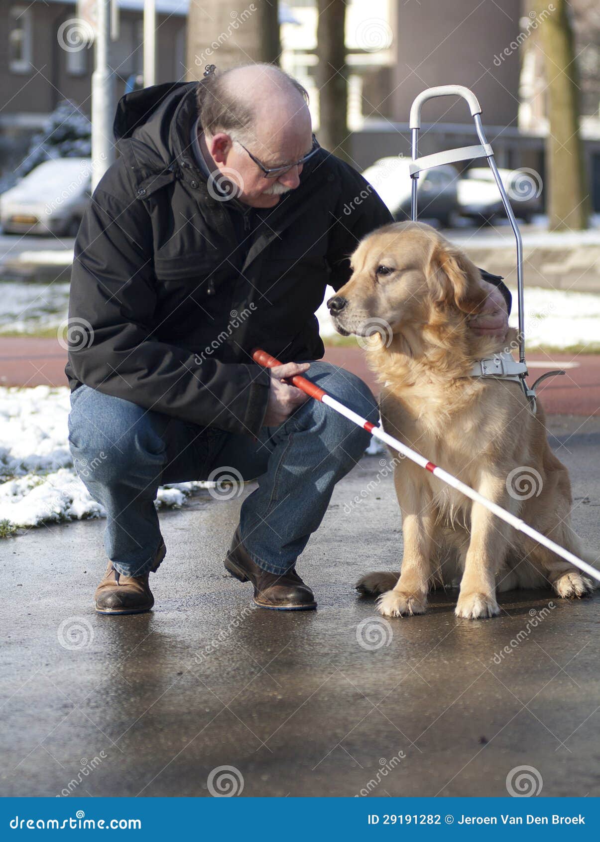 Guide Dog is Helping a Blind Man Stock Photo - Image of animal, love ... Guide Dog is Helping a Blind Man Stock Photo - Image of animal, love ...