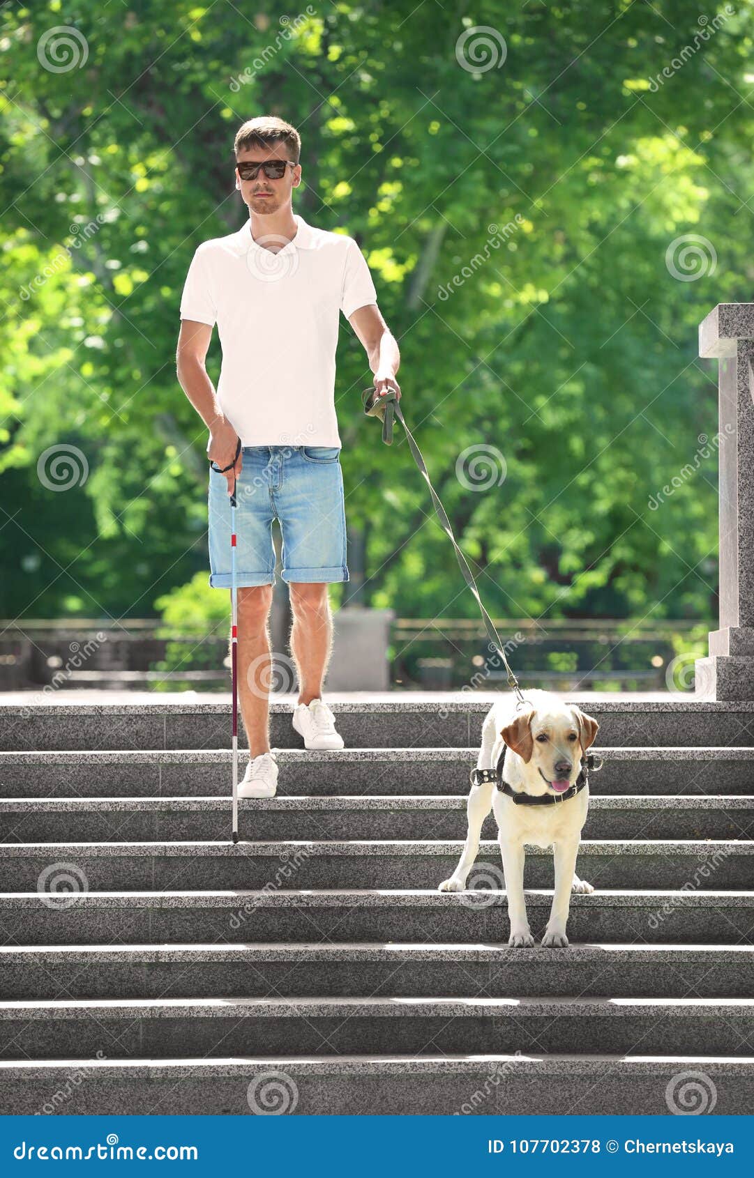 Guide Dog Helping Young Blind Man Stock Photo - Image of helping, city ... Guide Dog Helping Young Blind Man Stock Photo - Image of helping, city ...