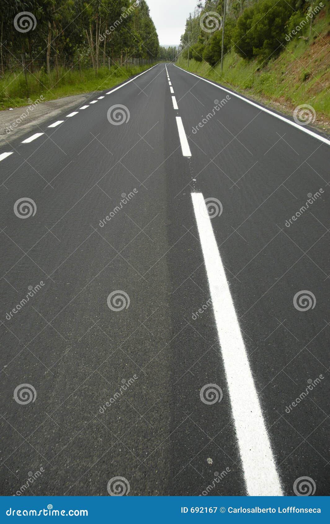 Guide Lines stock image. Image of night, network, direction - 692167