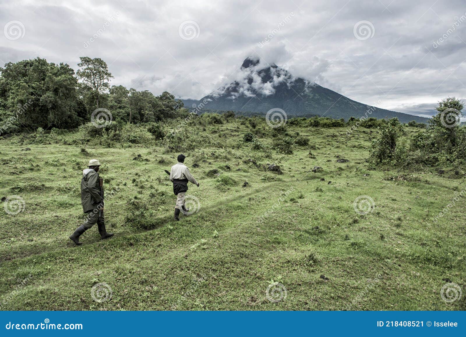 Guide in Old Growth Forest in Nord Kivu Editorial Photo - Image of ...