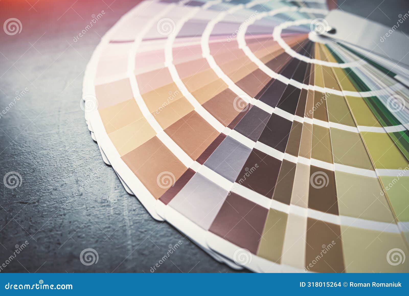 Guide of Paint Samples Catalog, Color and Shadows Palette Stock Photo ...