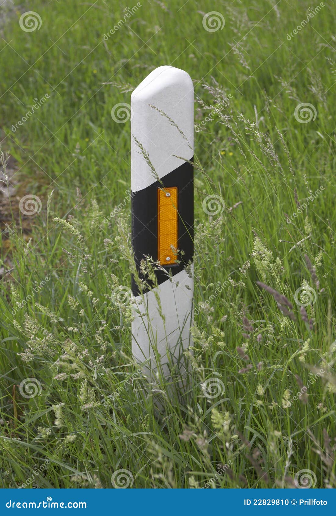 Guide post stock photo. Image of reflector, order, grass - 22829810