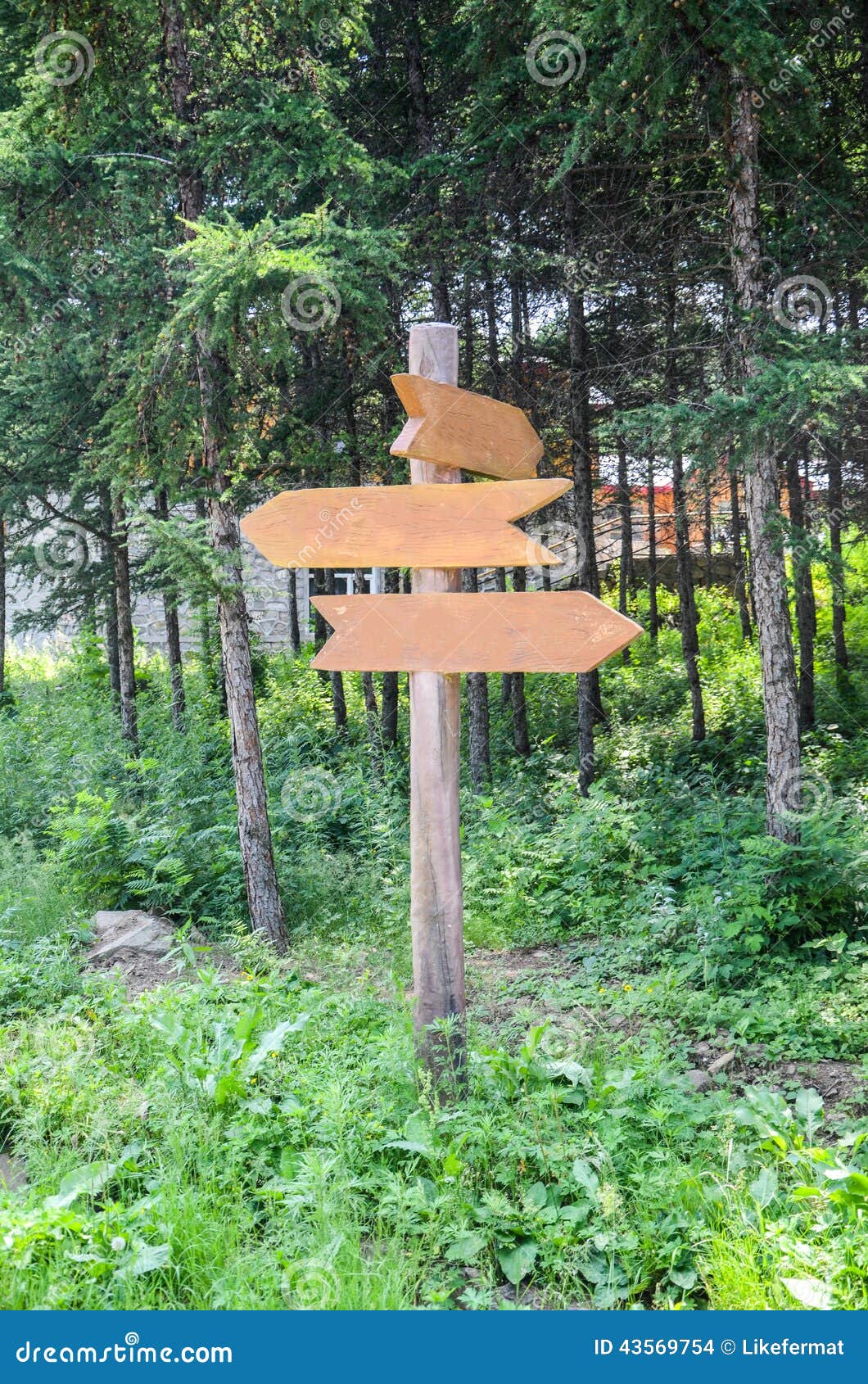 Guidepost stock photo. Image of advice, arrows, forward - 43569754