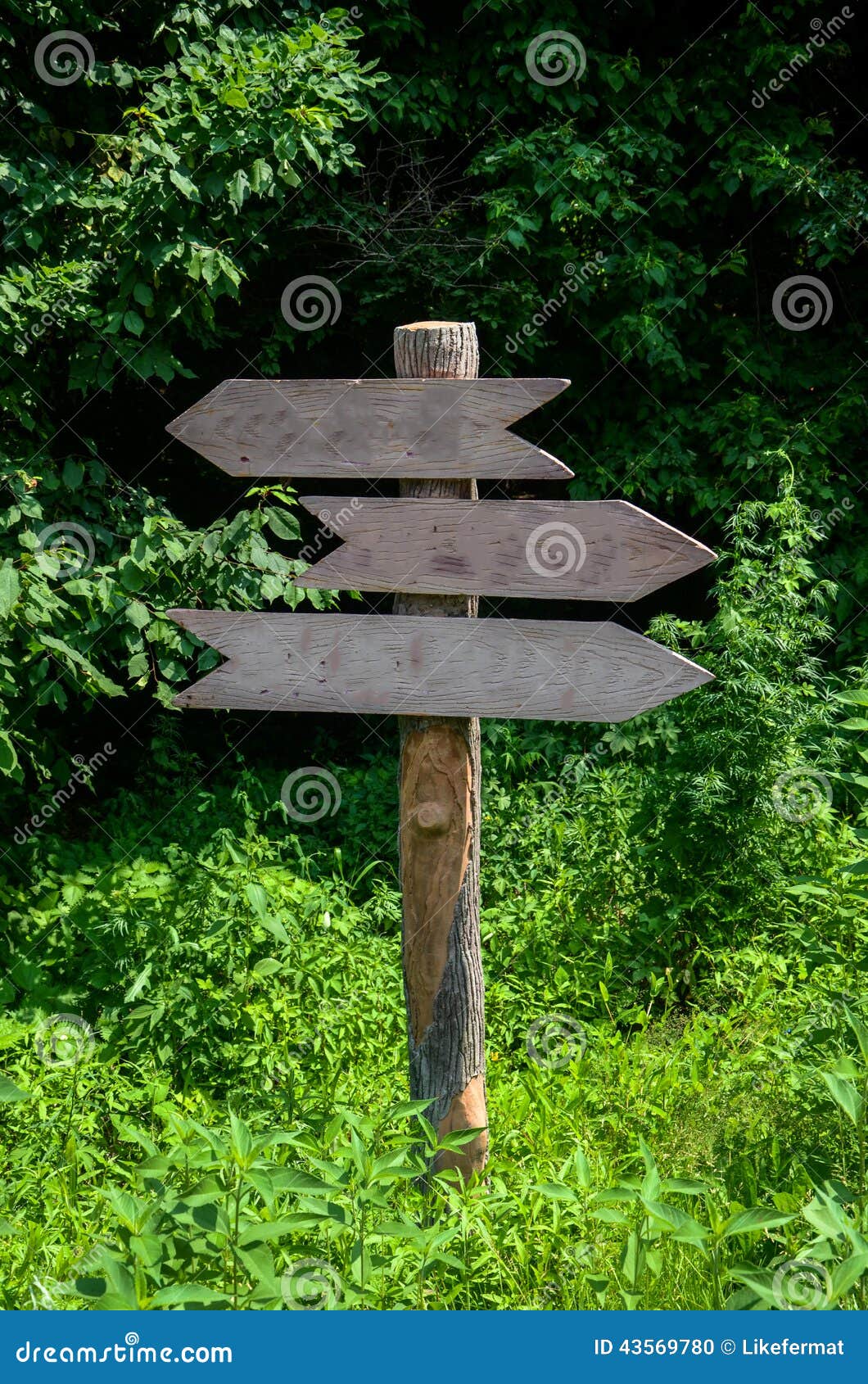Guidepost stock photo. Image of conceptual, future, empty - 43569780