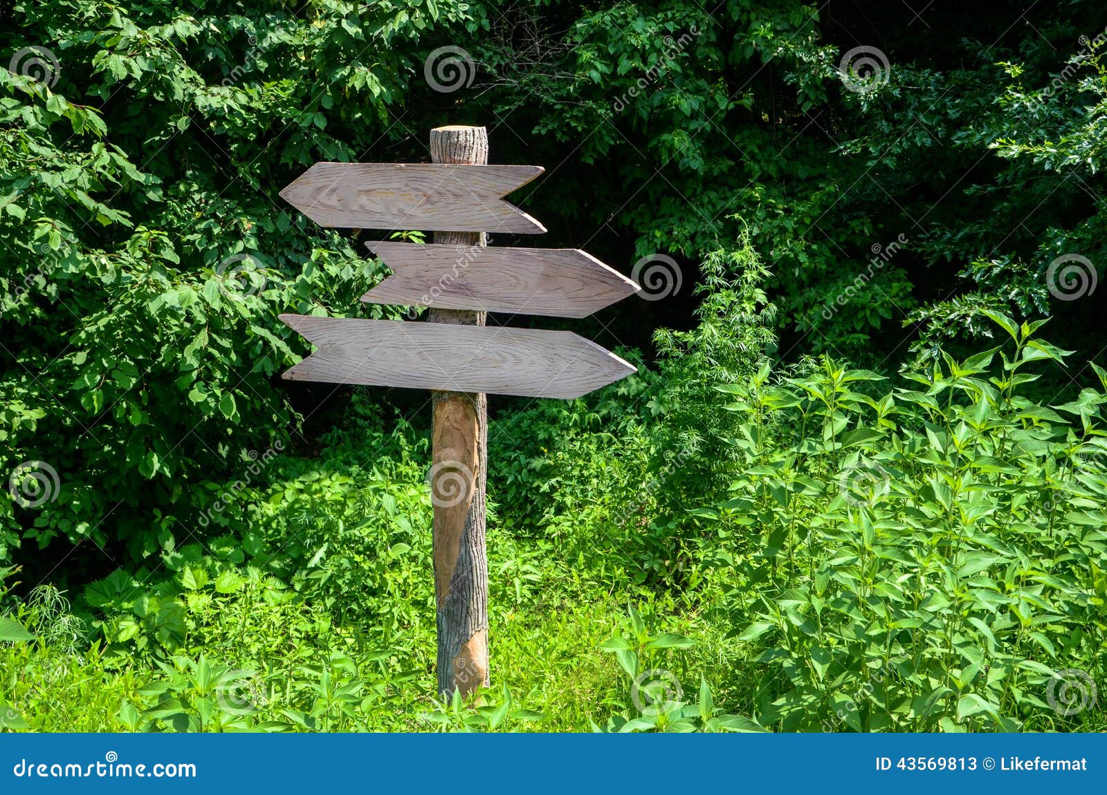 Guidepost stock image. Image of choosing, decide, advise - 43569813