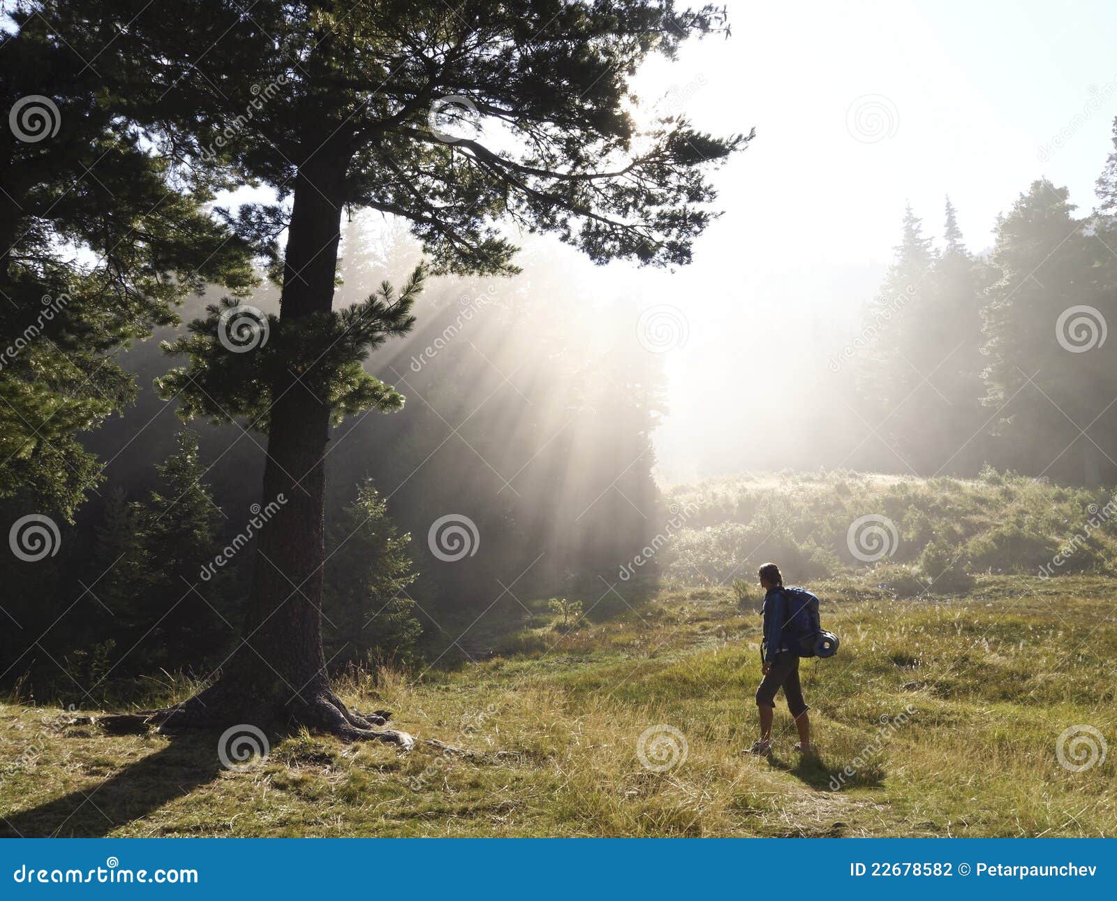 Guiding light stock photo. Image of action, leisure, guide - 22678582