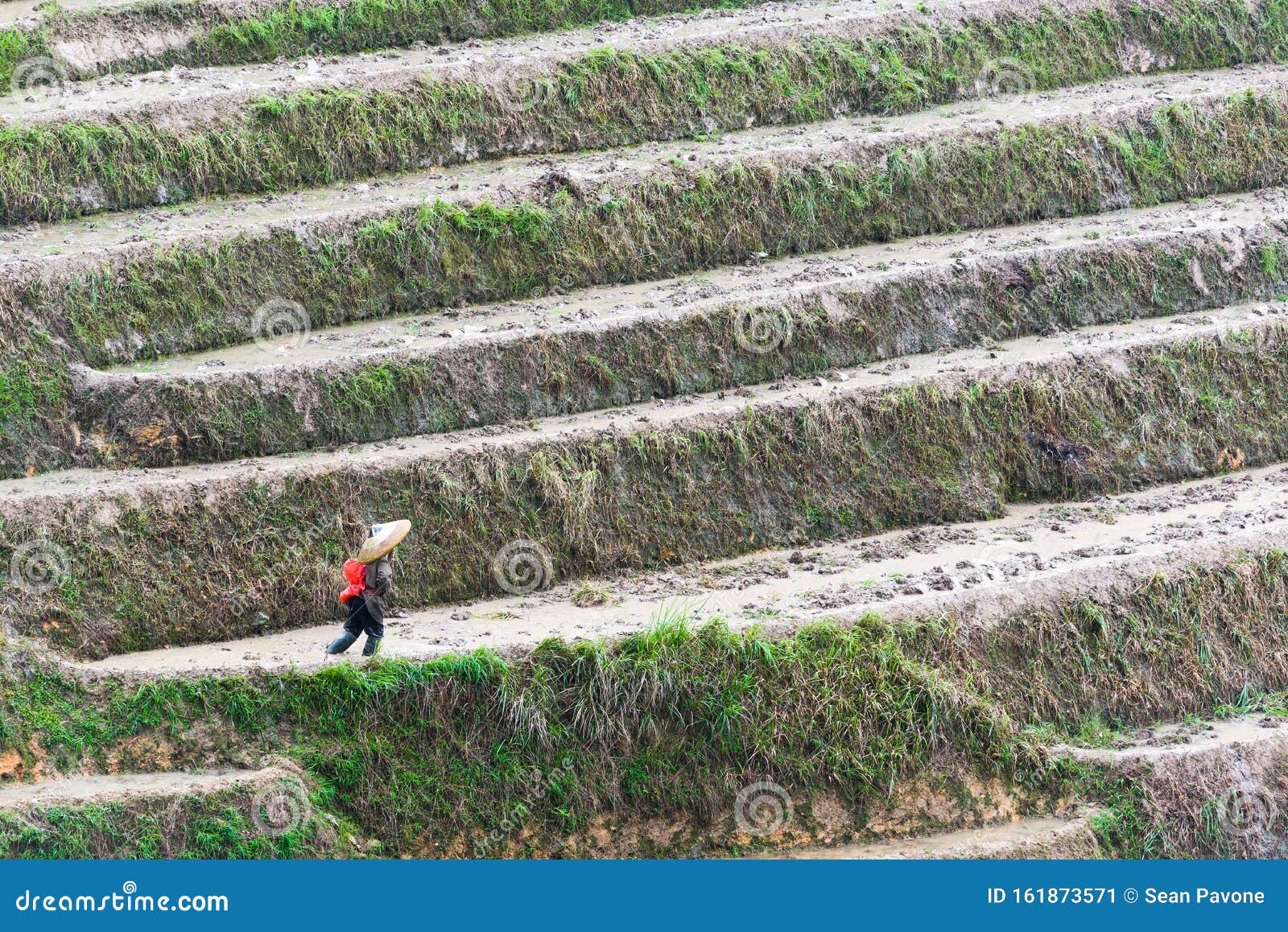 Guilin, China Rice Terrace stock image. Image of guilin - 161873571
