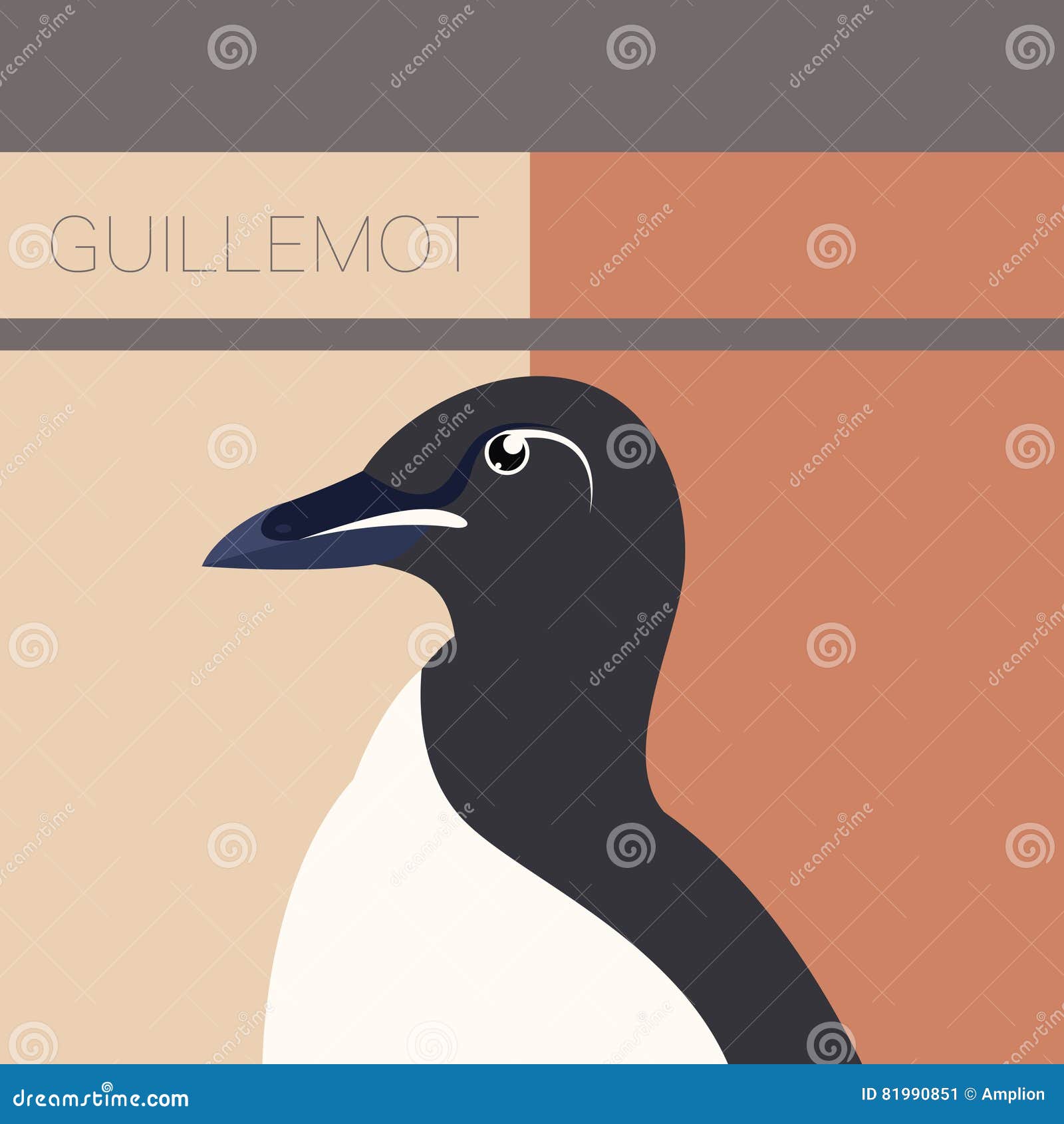 Guillemot flat postcard stock vector. Illustration of colorful - 81990851