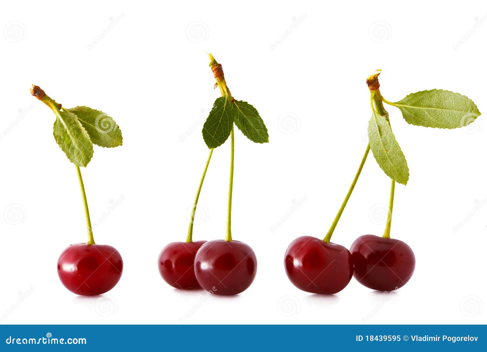 Guindas imagen de archivo. Imagen de aliado, adyacente - 18439595