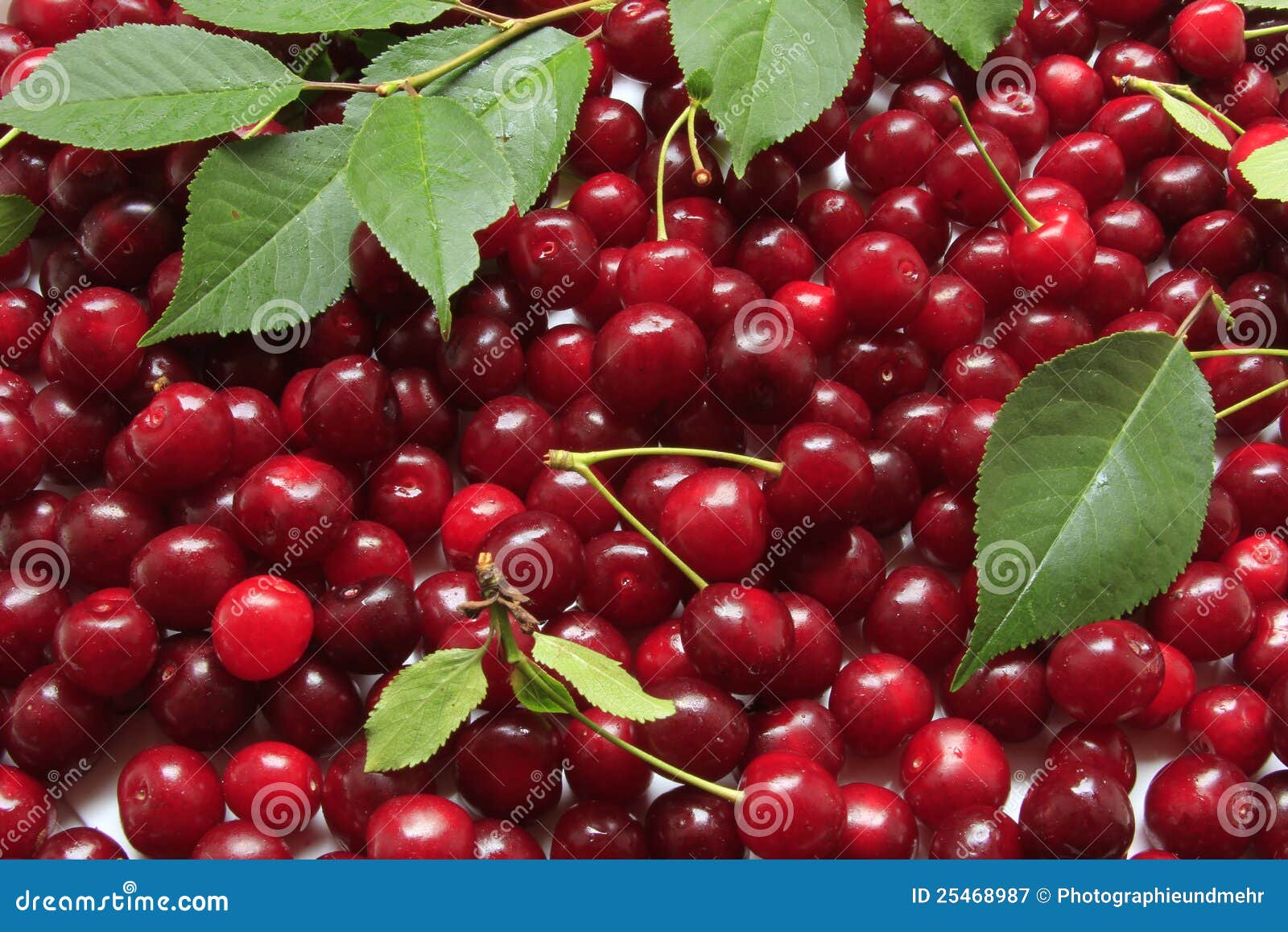 Guindas imagen de archivo. Imagen de redondo, formato - 25468987