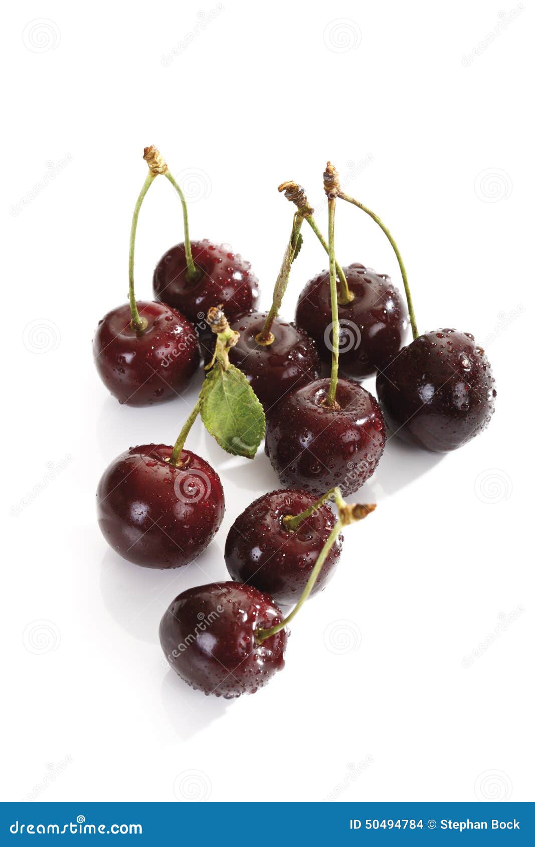 Guindas Con Las Gotitas De Agua Foto de archivo - Imagen de maduro ...