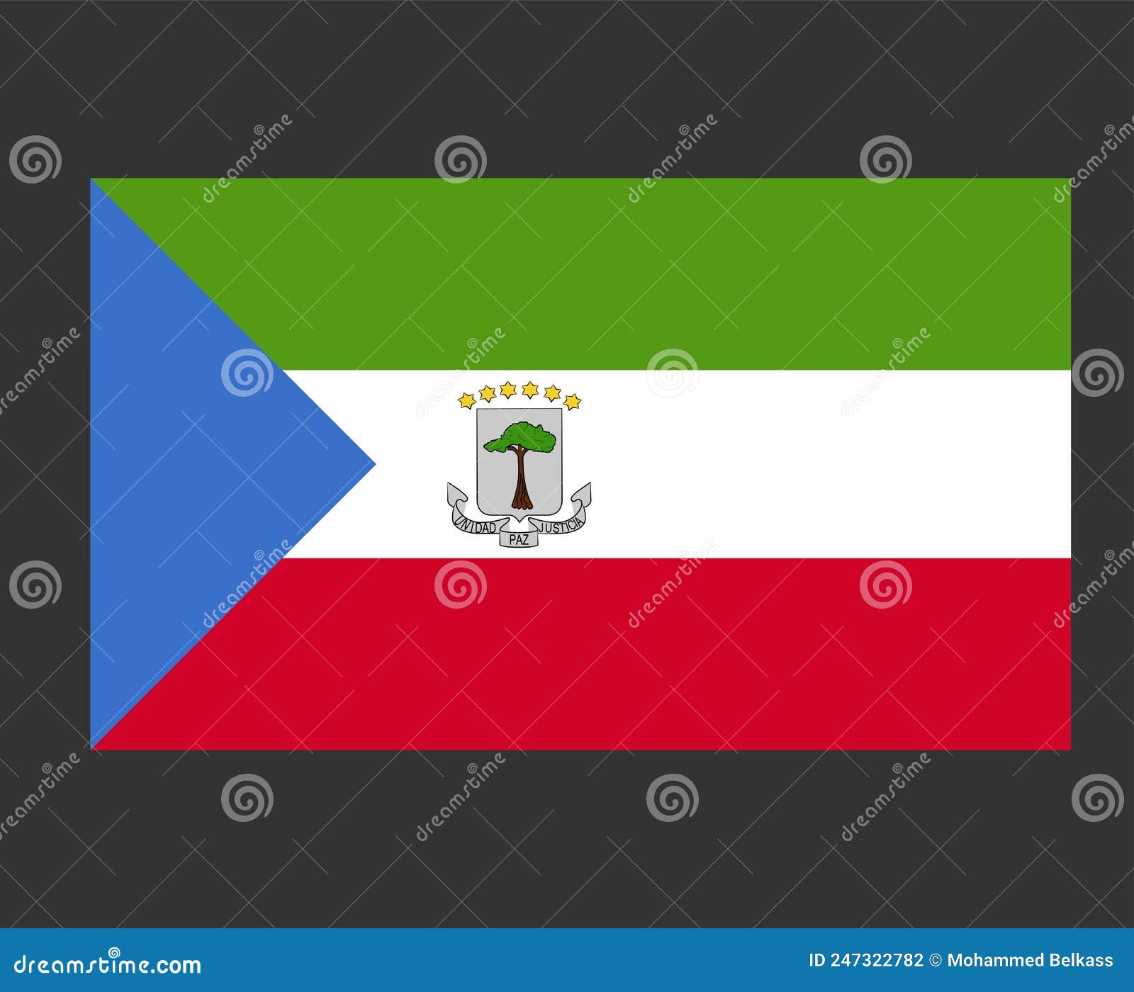 Equatorial Guinea Flag National Africa Emblem Symbol Icon Stock ...