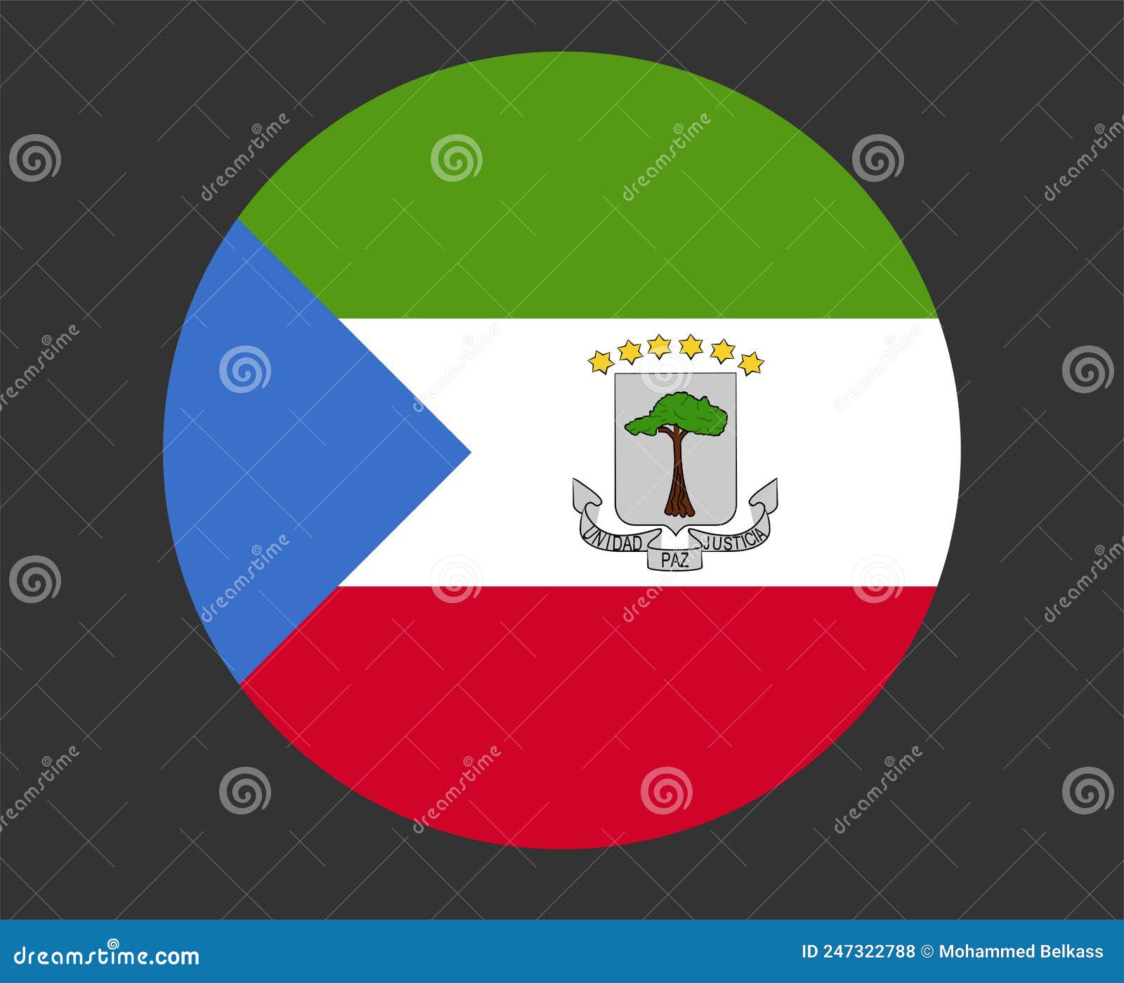 Equatorial Guinea Flag National Africa Emblem Icon Vector Stock ...