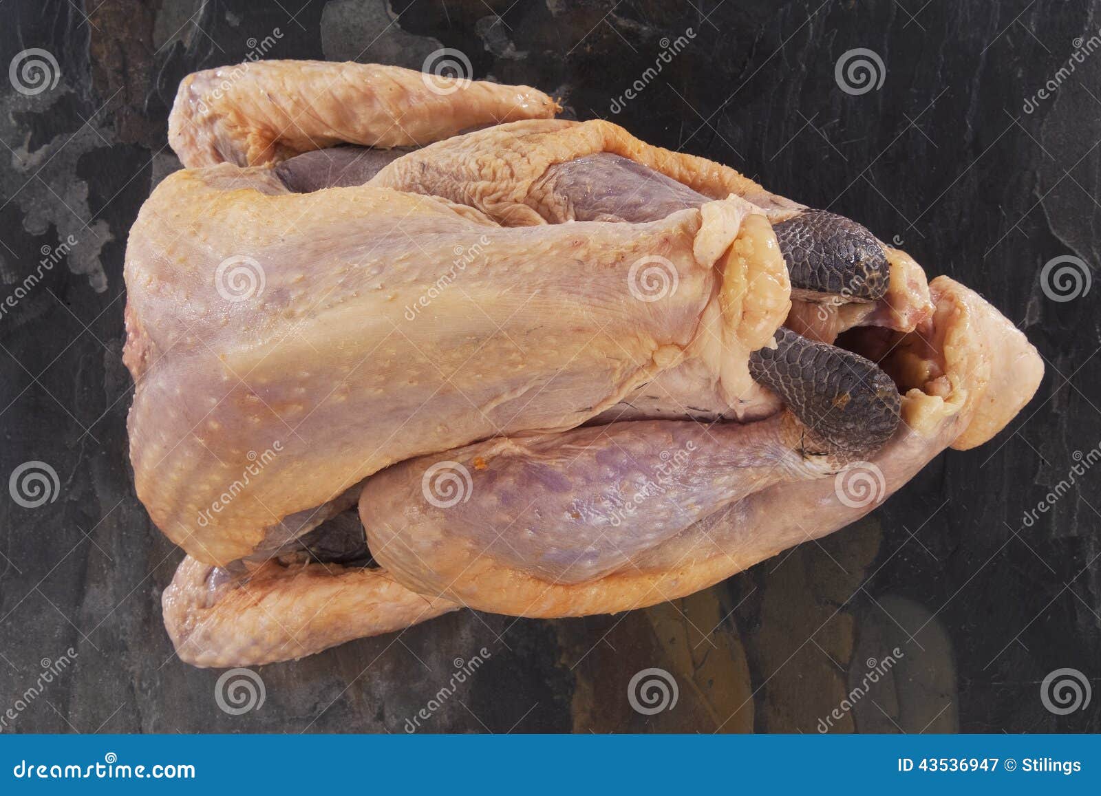 Guinea Fowl stock image. Image of eating, dining, dish - 43536947