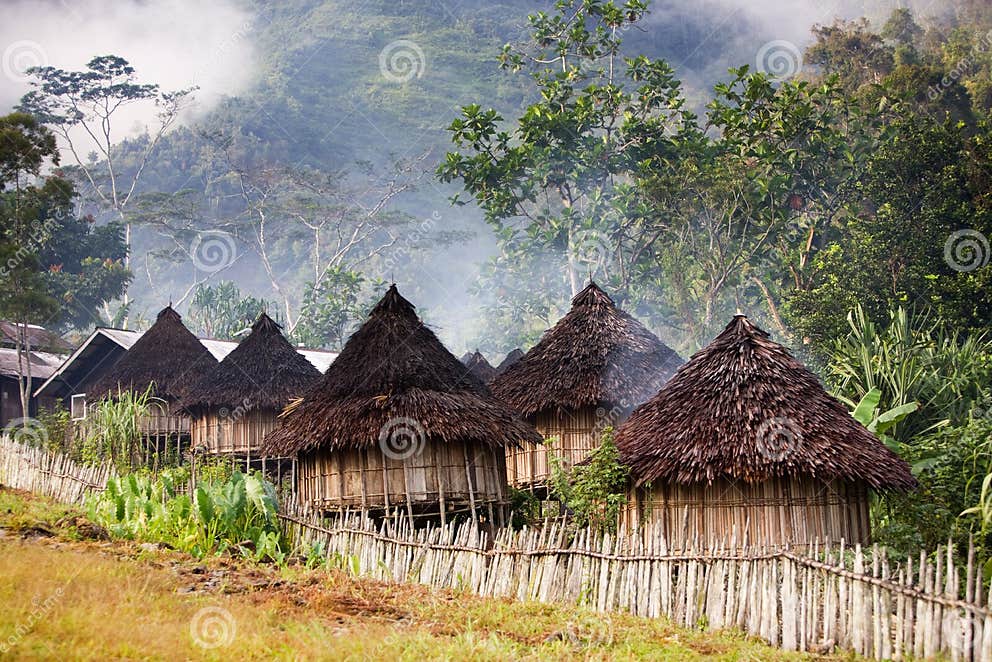 Guinea new stock image. Image of nature, natural, roof - 7924073
