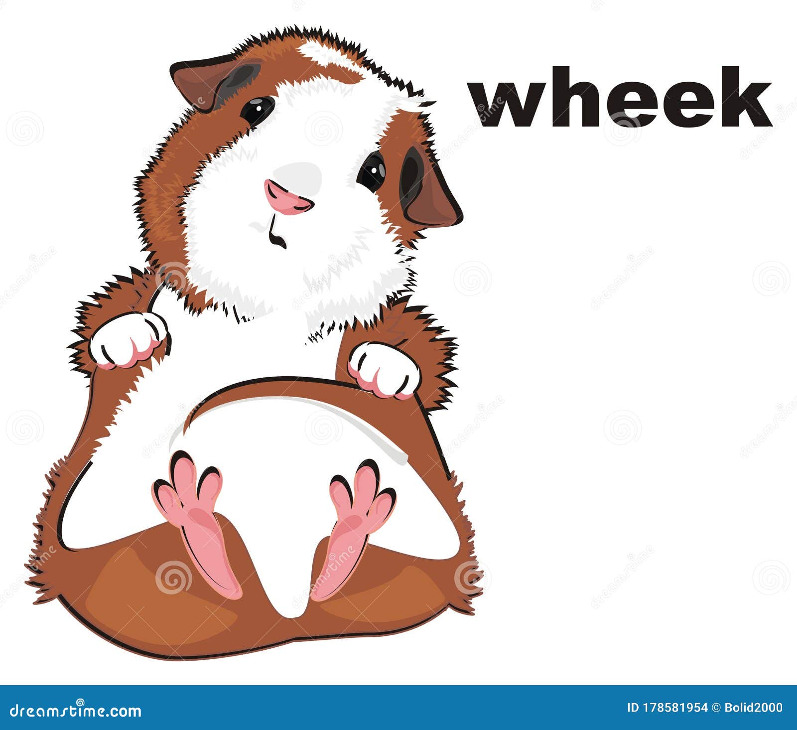 Guinea pig say wheek stock illustration. Illustration of food - 178581954