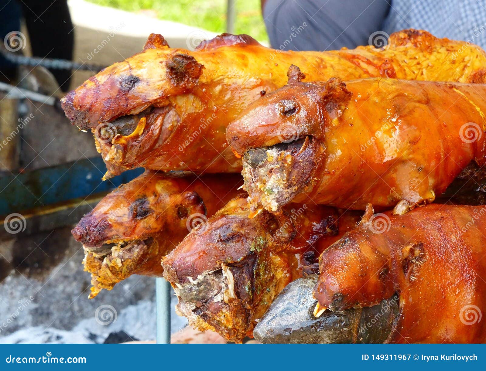 Guinea Pigs Cooked on Grill, Ecuador Stock Image - Image of ecuador ... Guinea Pigs Cooked on Grill, Ecuador Stock Image - Image of ecuador ...