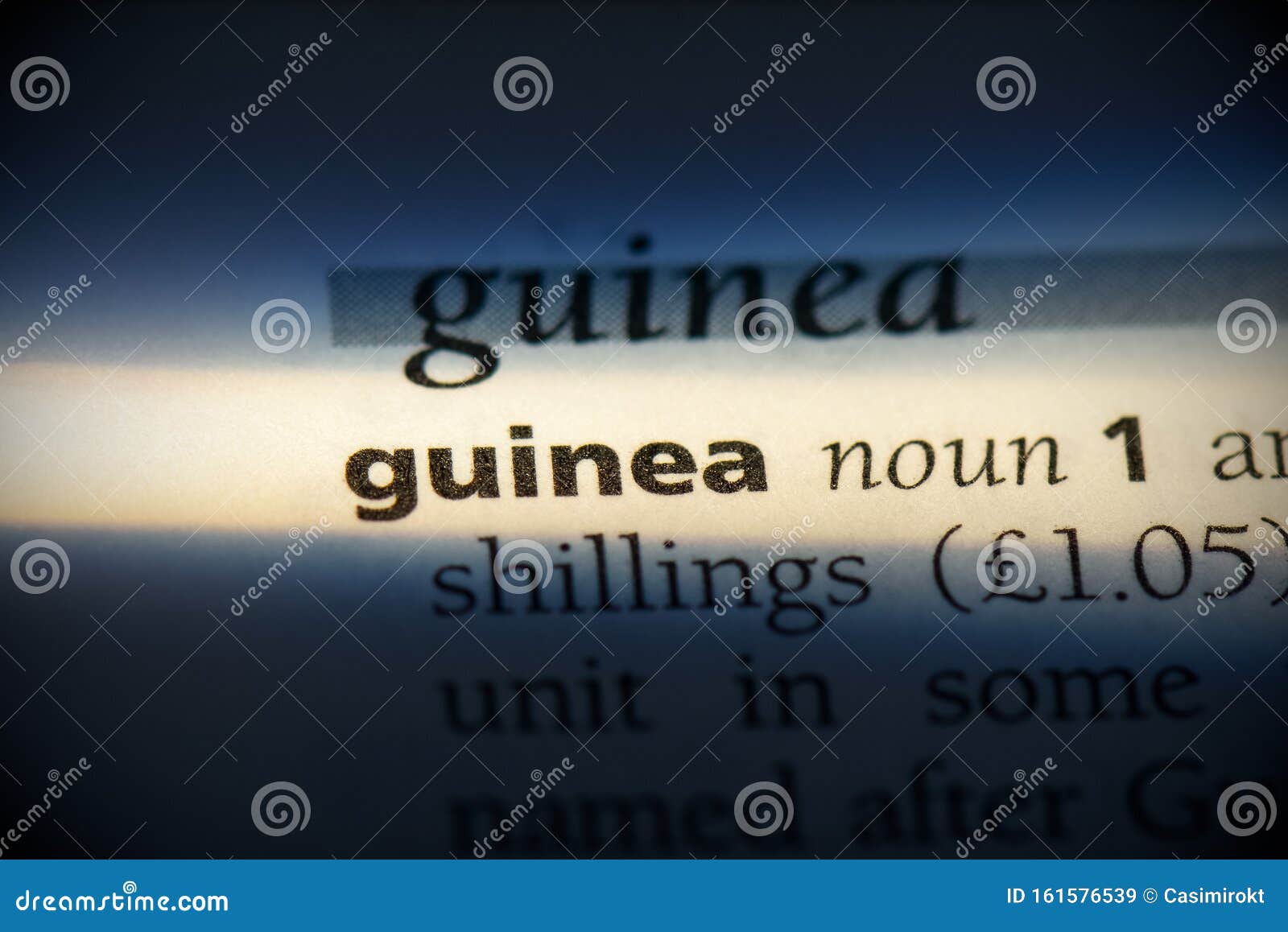 Guinea stock image. Image of english, focus, language - 161576539