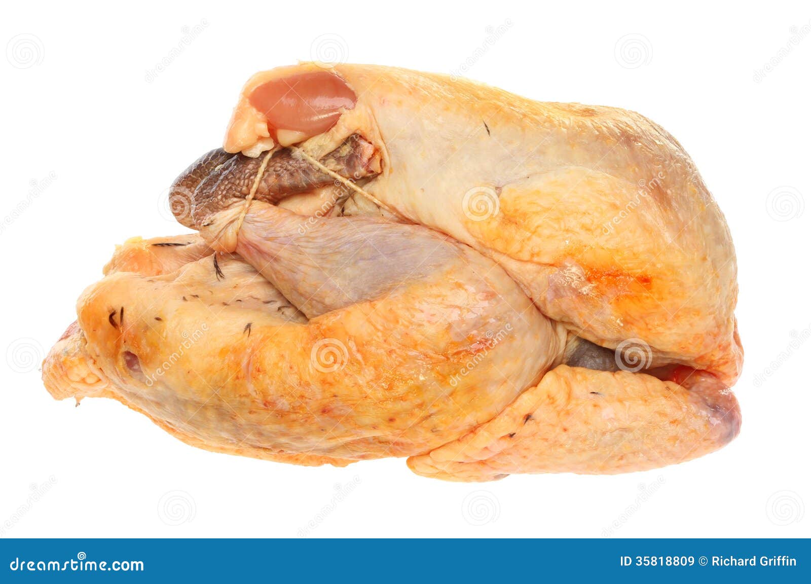Guineafowl stock image. Image of breast, meat, white - 35818809