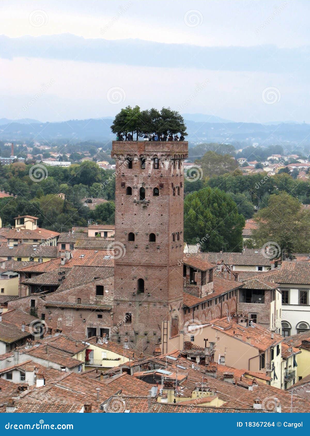 Guinigi tower Lucca stock photo. Image of architectural - 18367264