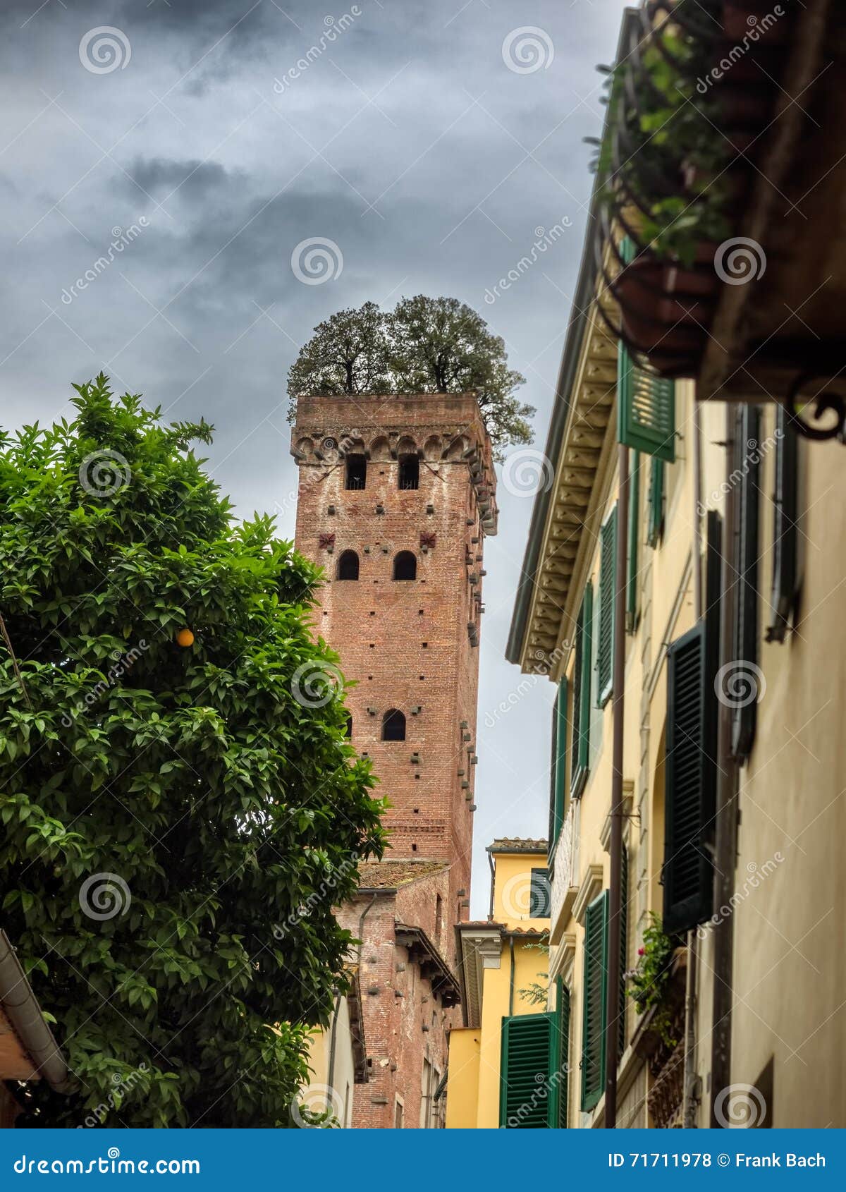 Guinigi Tower with Trees on the Top in Lucca Stock Photo - Image of ...