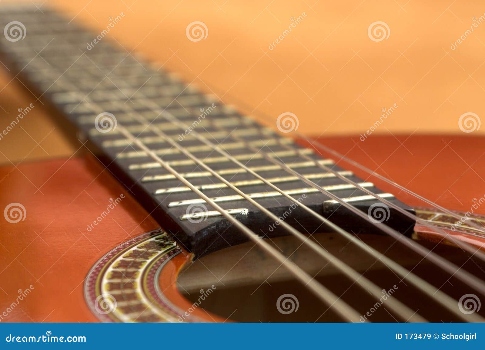 Guitar stock image. Image of frets, string, purfling, fretboard - 173479