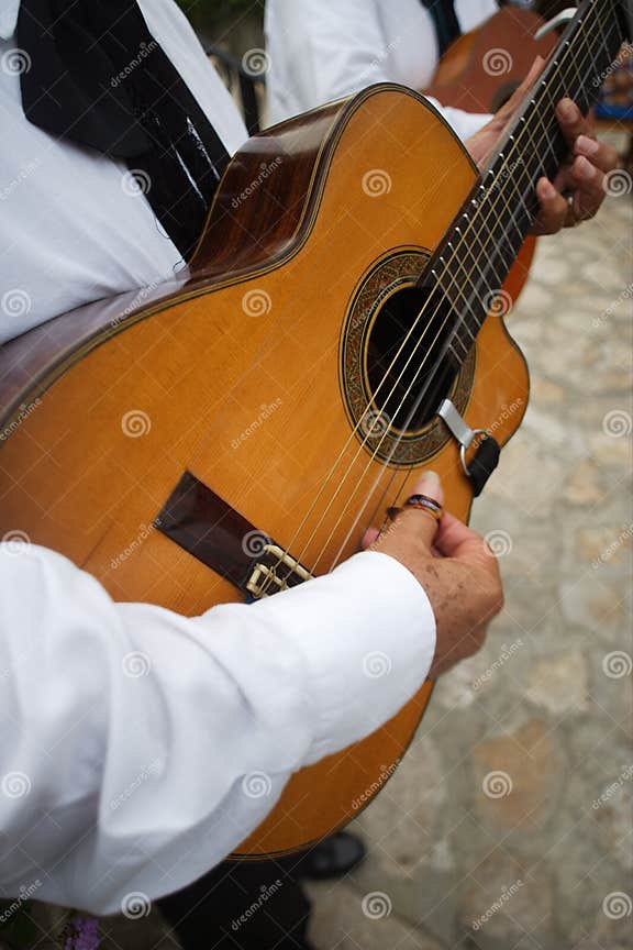Guitar stock image. Image of mexican, instrument, detail - 3200119
