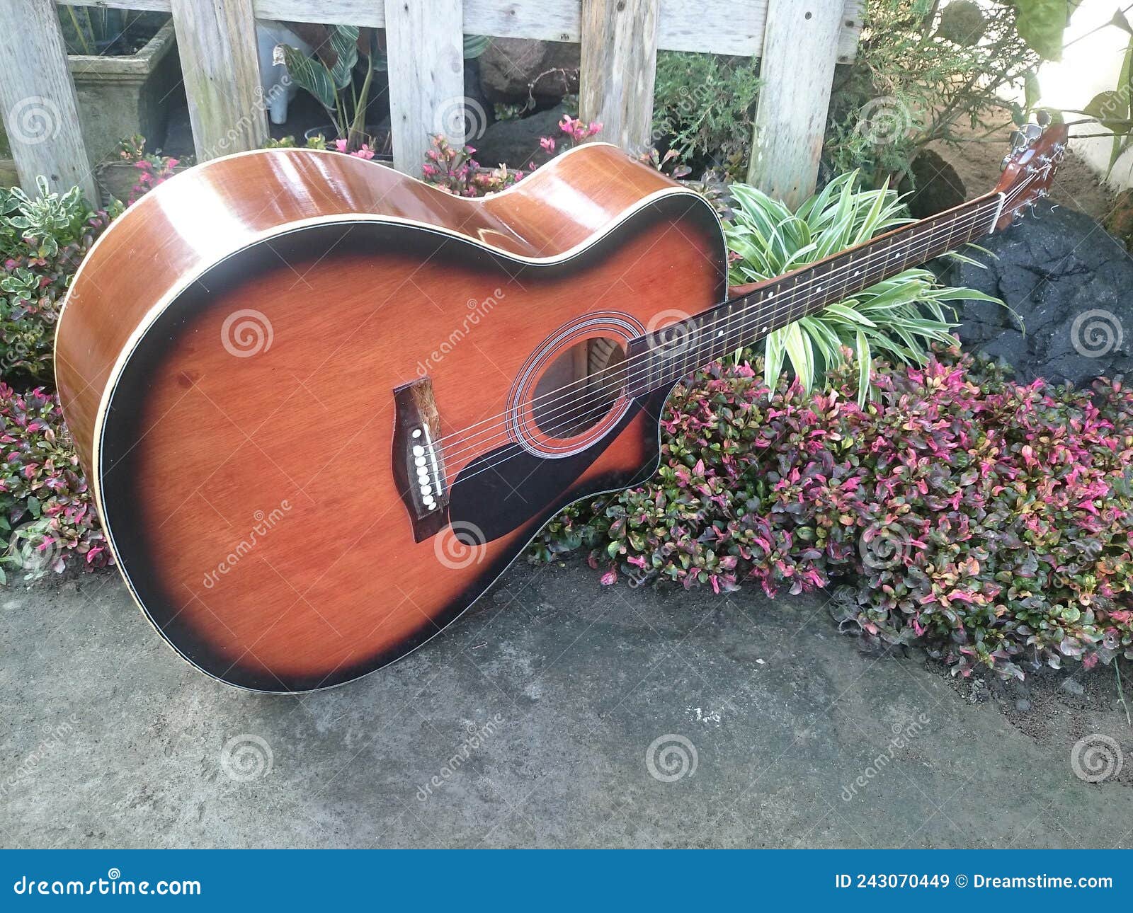 Guitar akustik stock image. Image of like, hobby, guitar - 243070449