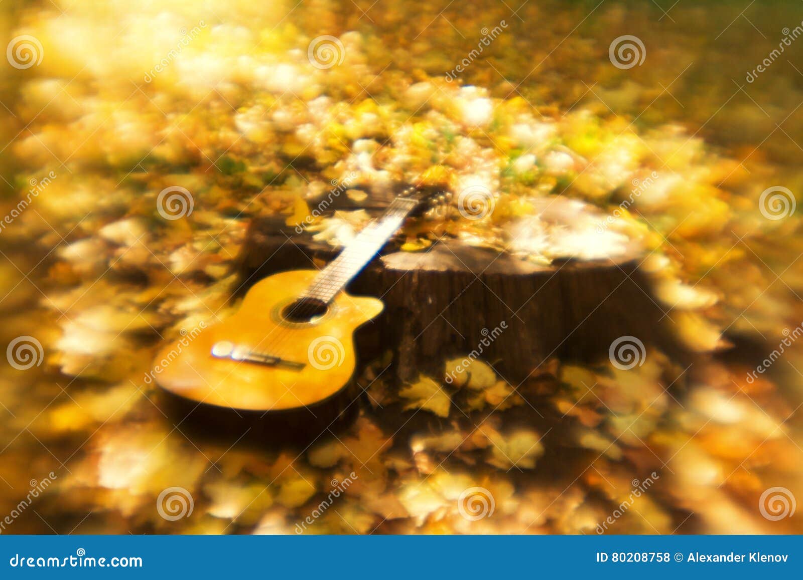 Guitar and autumn stock photo. Image of sunny, fall, cover - 80208758