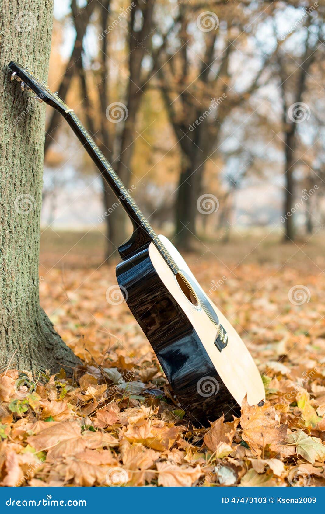 Guitar on autumn leaves stock image. Image of acoustic - 47470103