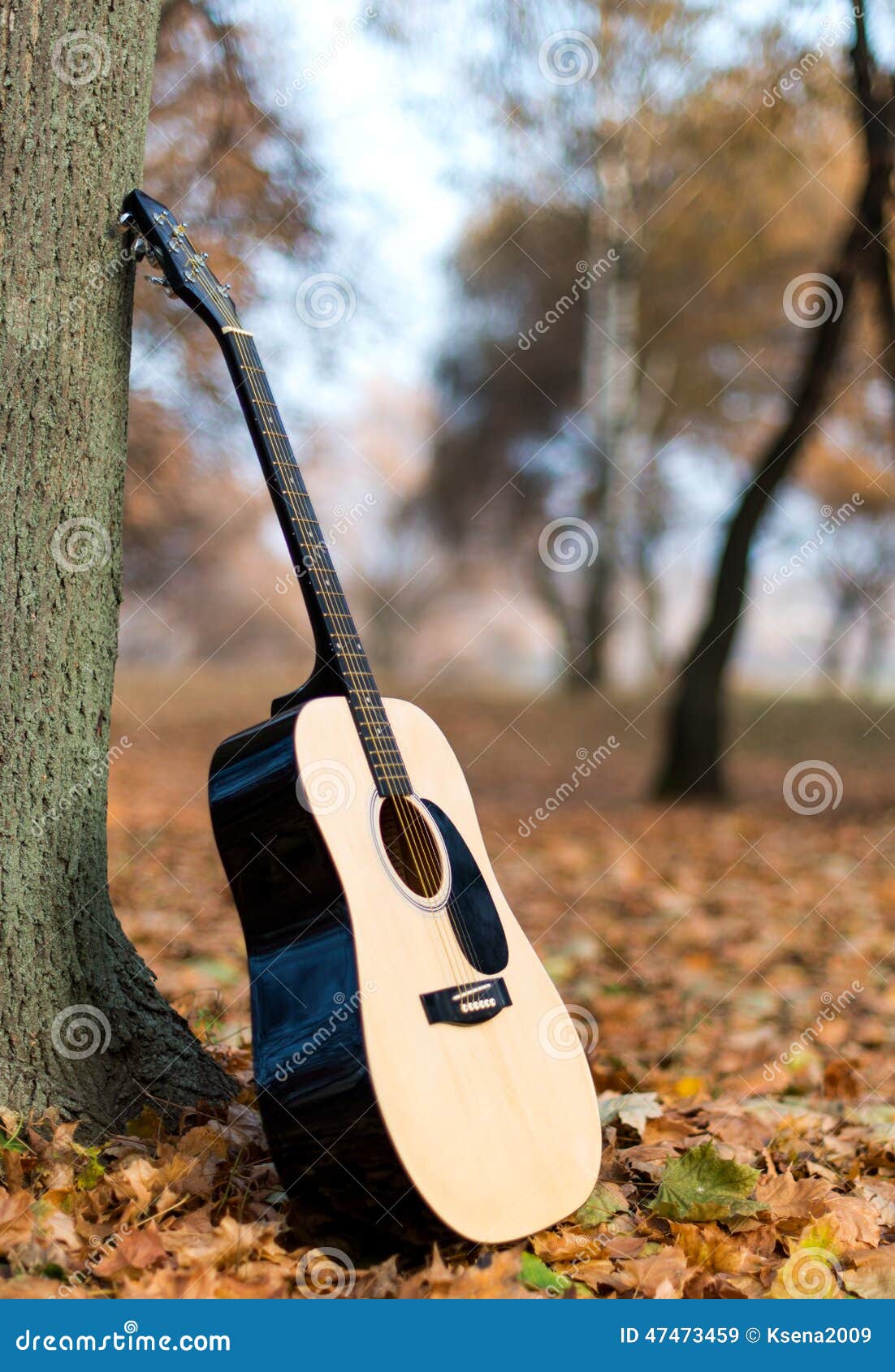 Guitar on autumn leaves stock image. Image of equipment - 47473459