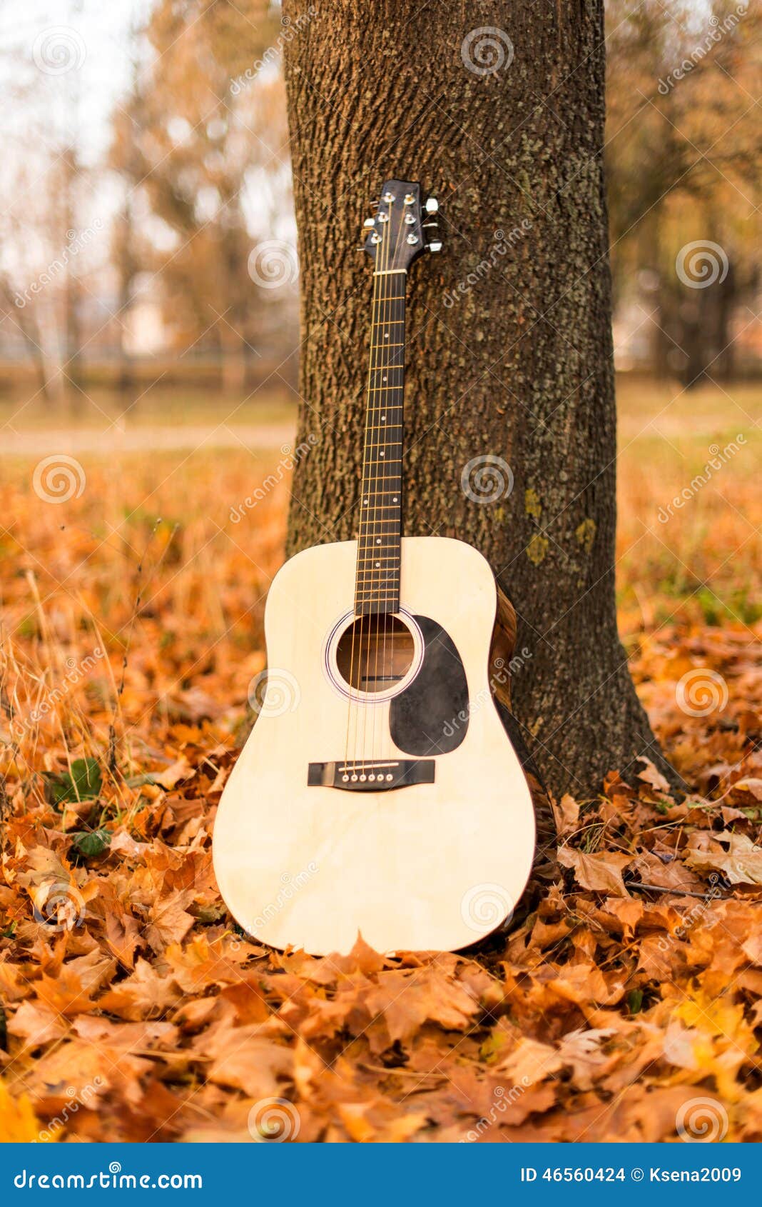 Guitar on autumn leaves stock photo. Image of acoustic - 46560424