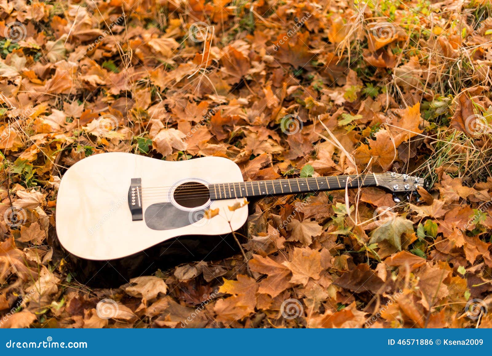 Guitar on autumn leaves stock photo. Image of antique - 46571886