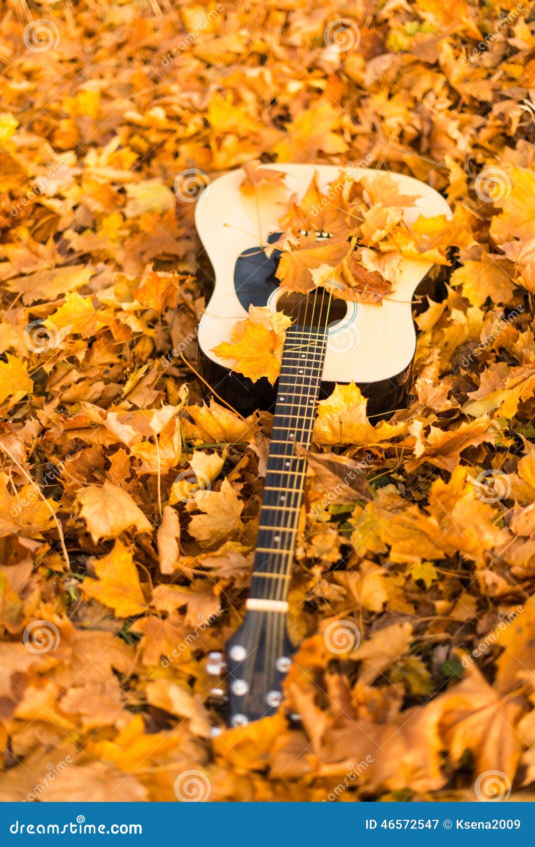 Guitar on autumn leaves stock image. Image of spanish - 46572547