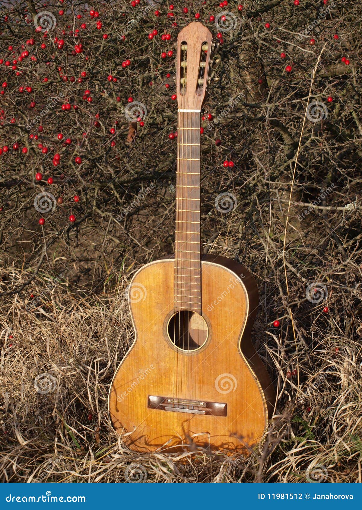 Guitar in autumn nature stock photo. Image of dust, blur - 11981512