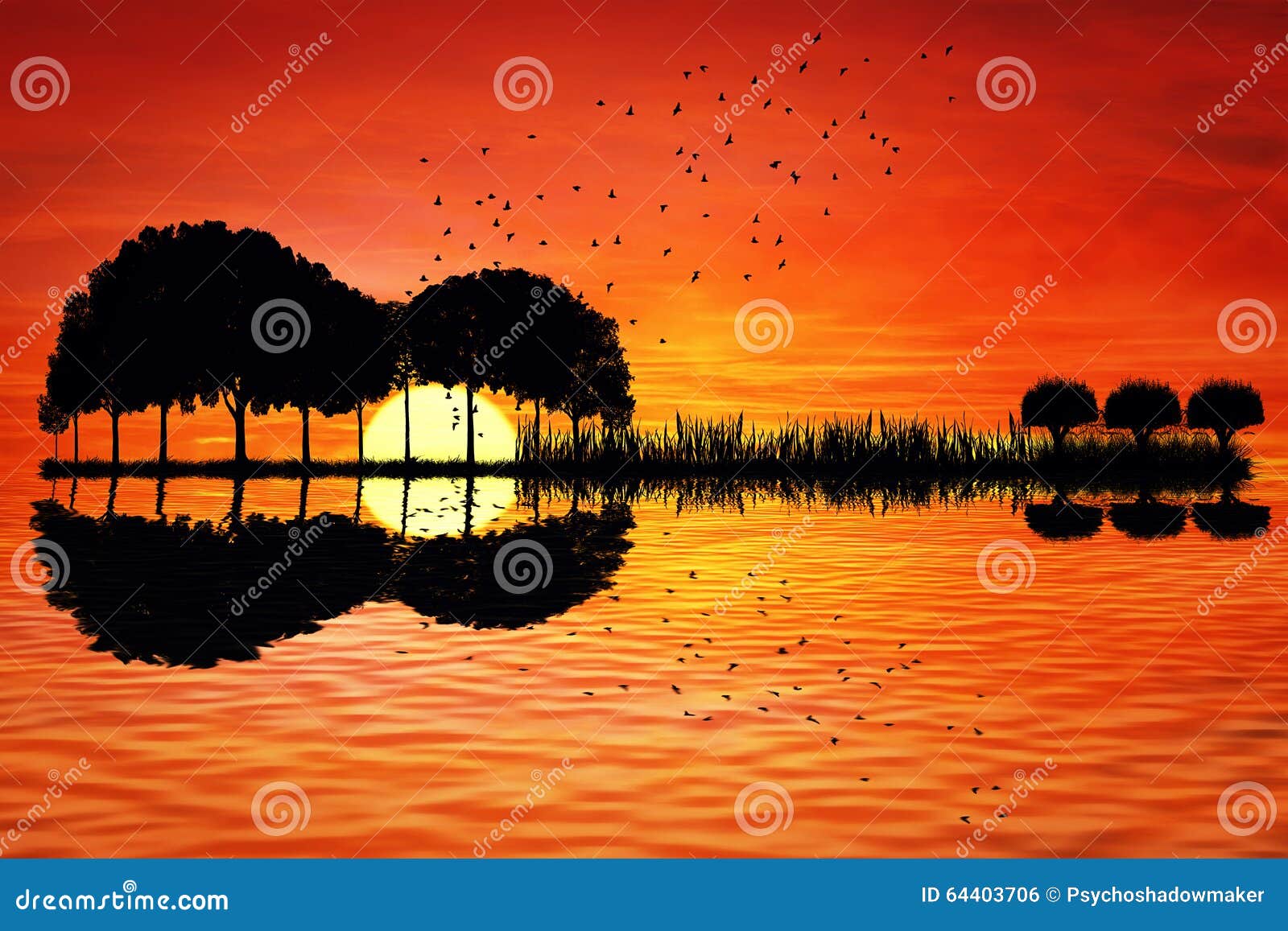 6,197 Guitar Sunset Photos - Free & Royalty-Free Stock Photos from ...