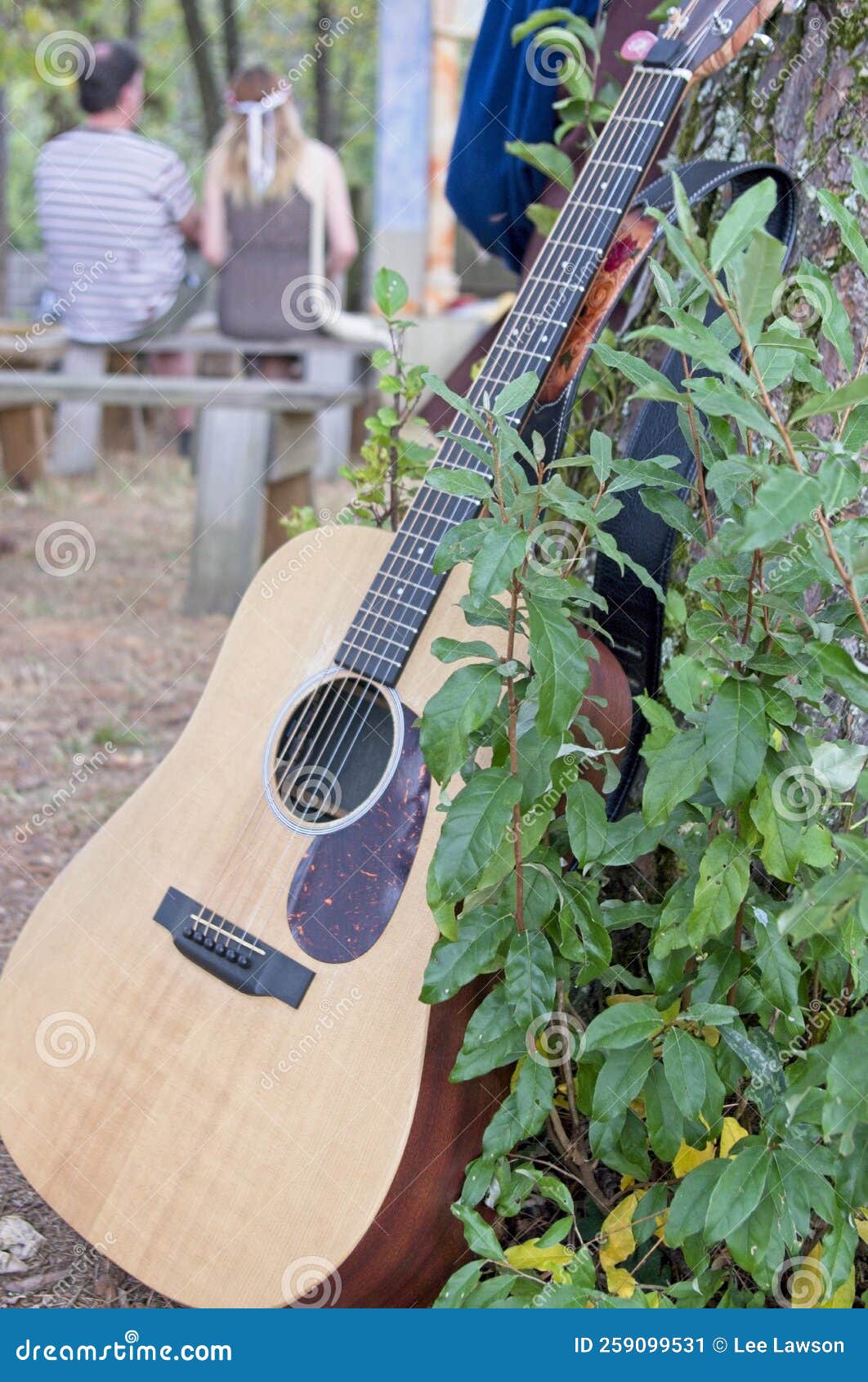Guitar leaned on a tree stock image. Image of leaves - 259099531