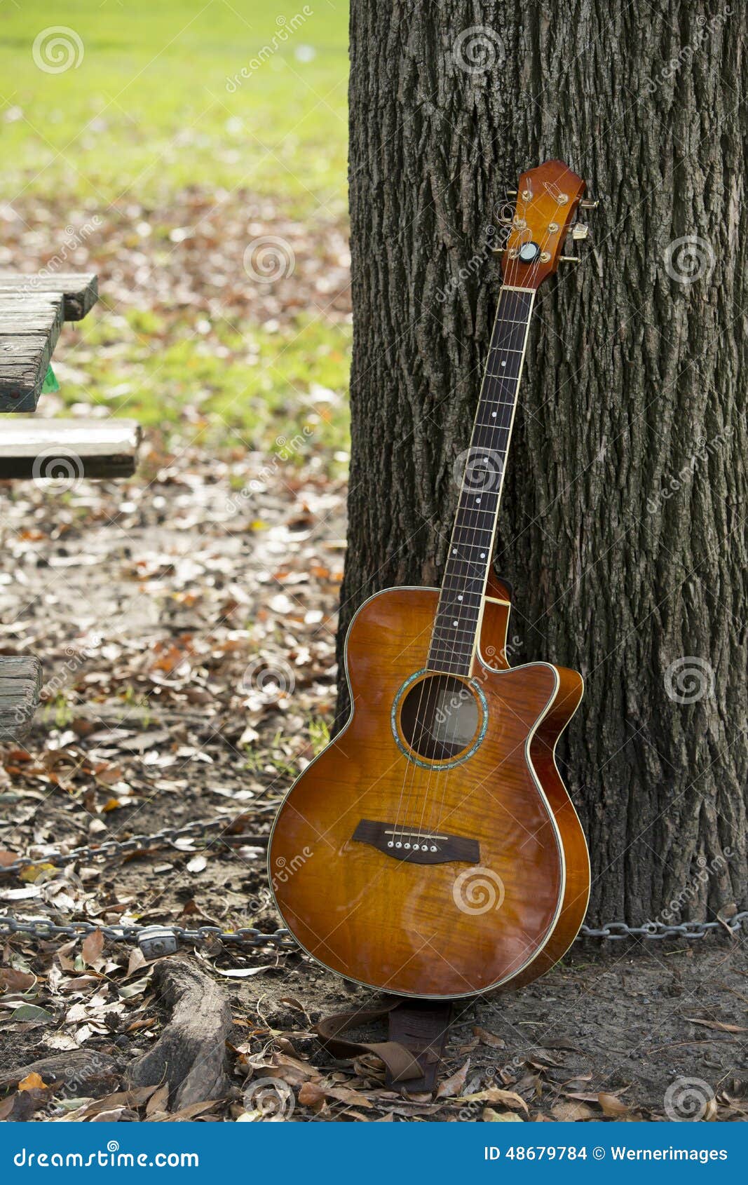 Guitar leaning on tree stock photo. Image of guitar, nature - 48679784
