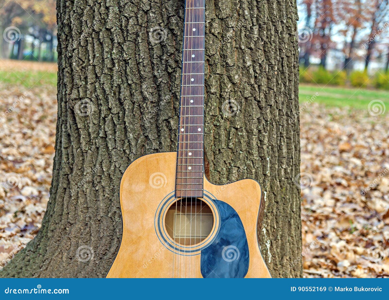 Guitar Leaning on a Tree in Autumn Park on Cloudy Day Stock Image ...