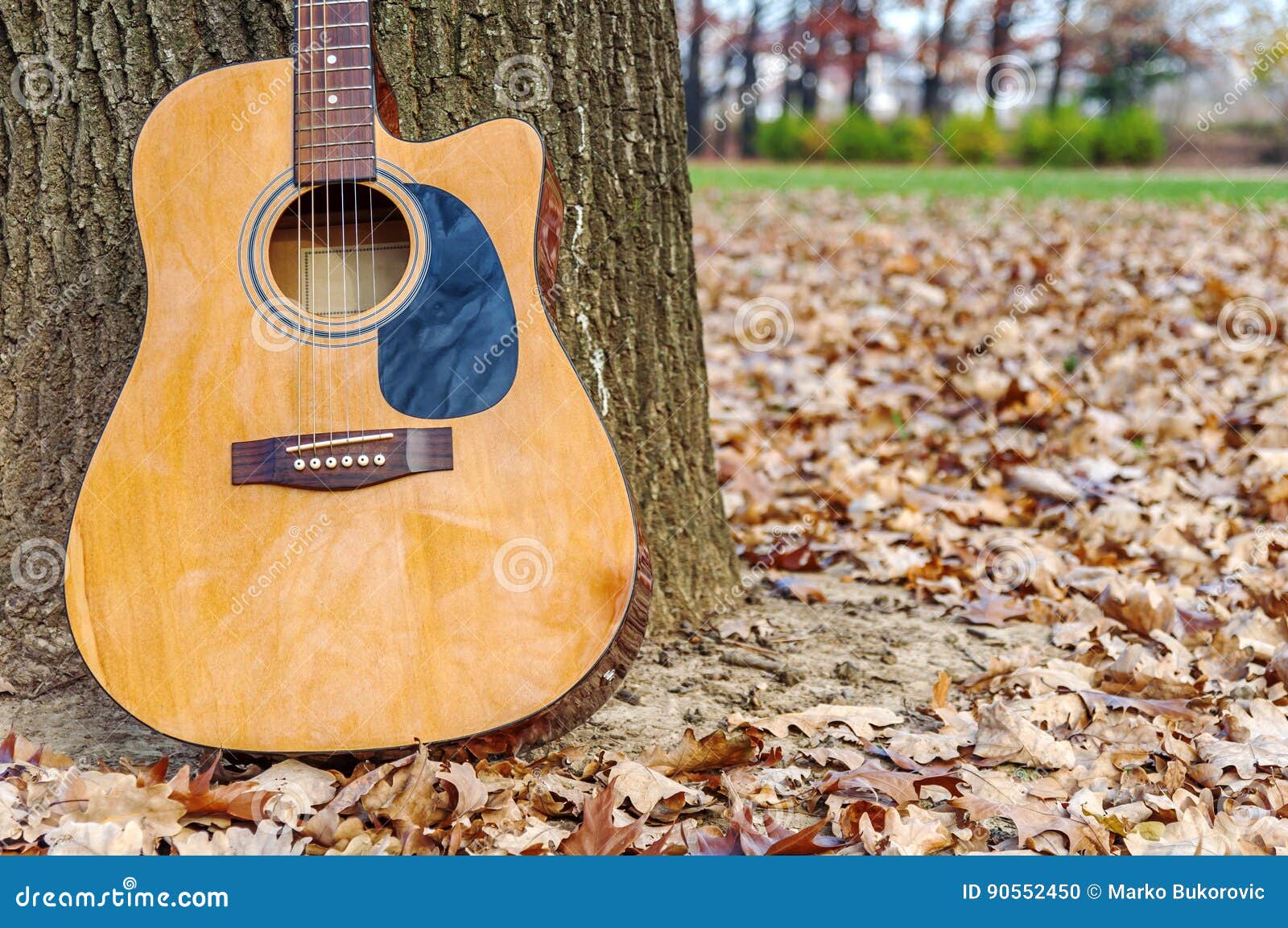 Guitar Leaning on a Tree in Autumn Park on Cloudy Day Stock Photo ...