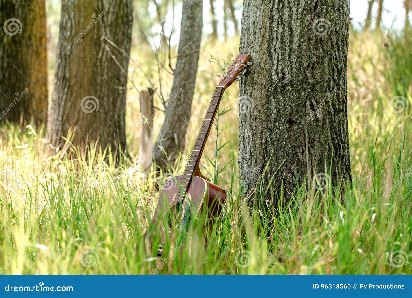 Guitar in nature stock photo. Image of guitar, countryside - 96318560