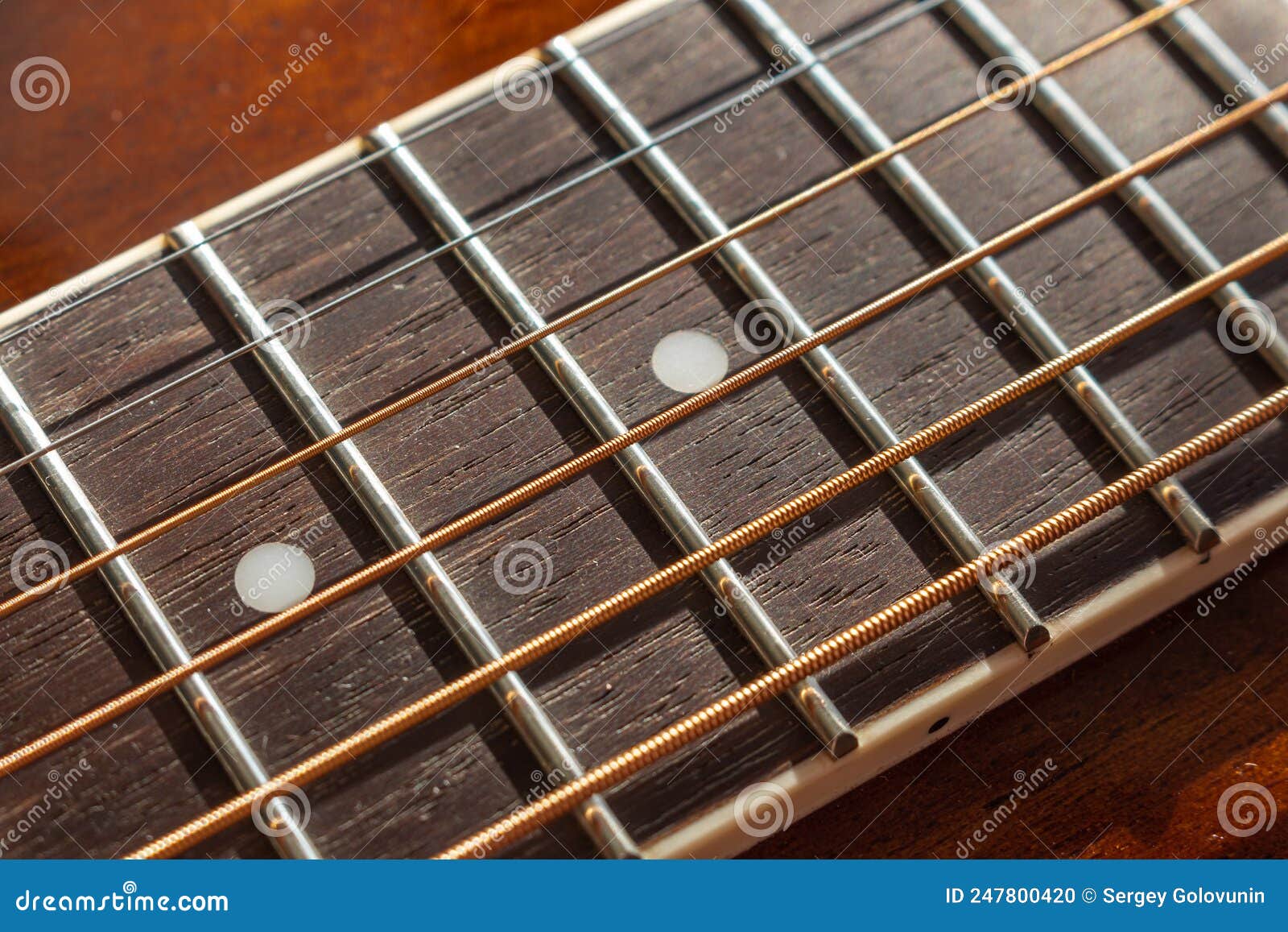 Guitar Neck, Stretched Strings, Frets and Texture of Natural Material ...