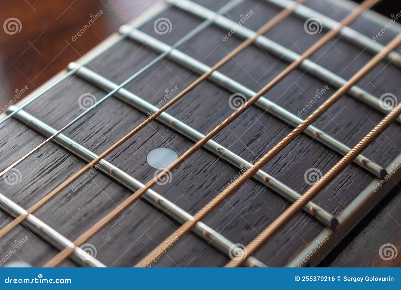 Guitar Neck, Stretched Strings, Frets and Texture of Natural Material ...